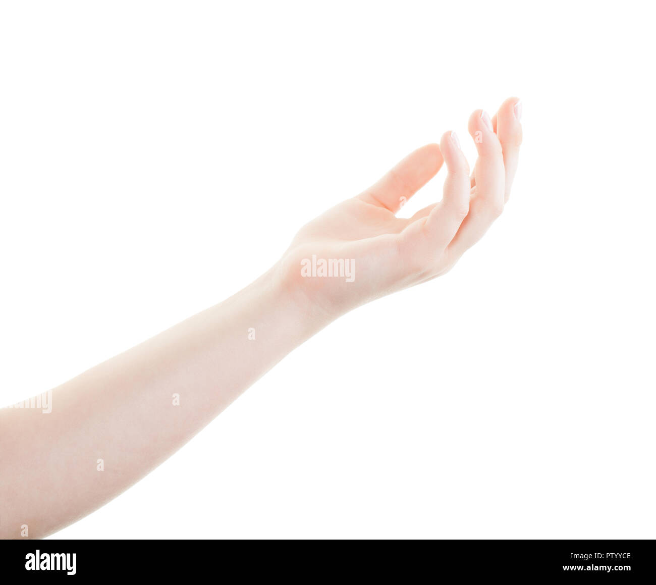 Empty hand isolated on white Stock Photo - Alamy