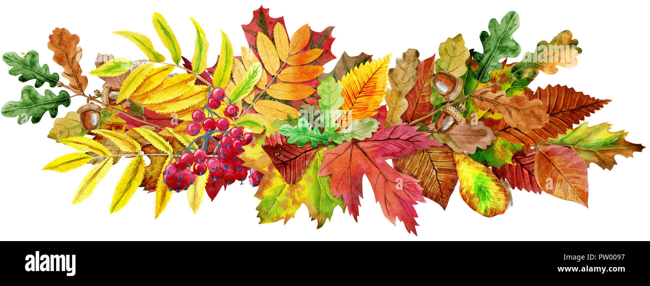 Red Fall Leaves Border