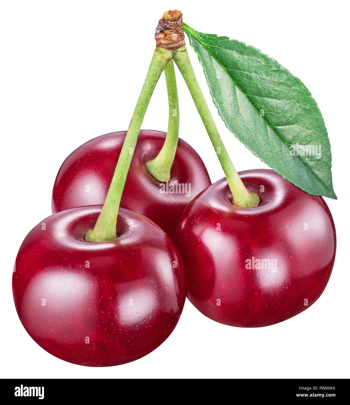 Three cherries with cherry leaf on a white background. File contains ...