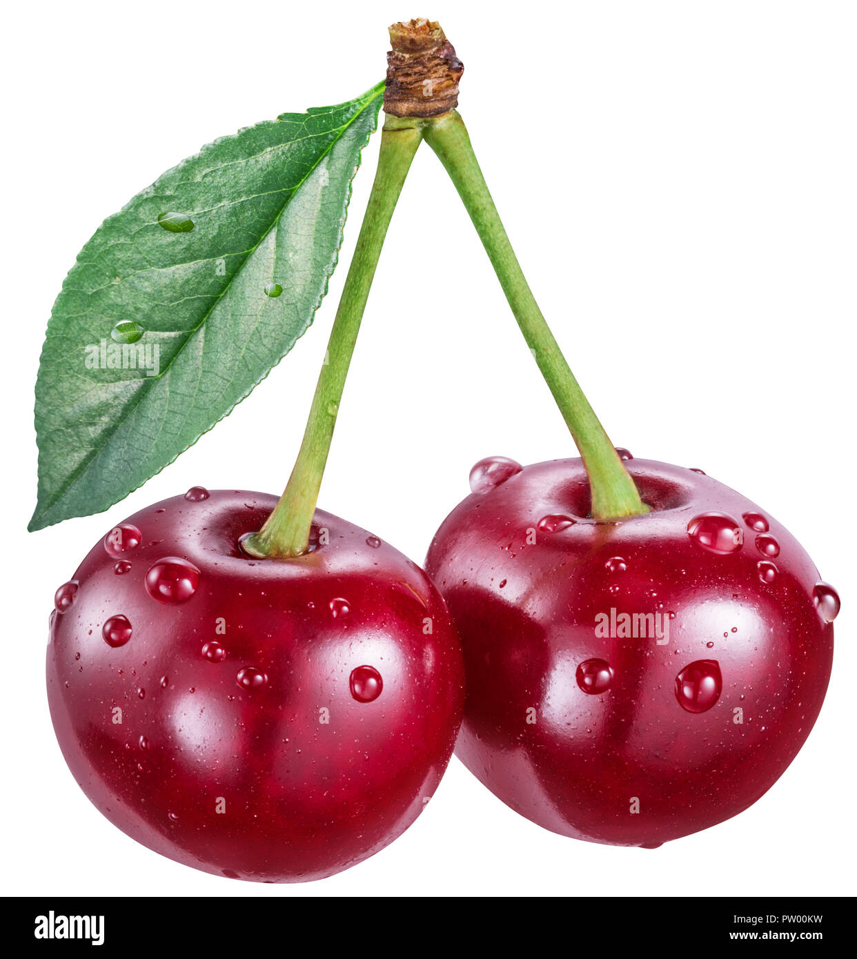 Two cherries with water drops and cherry leaf on a white background ...