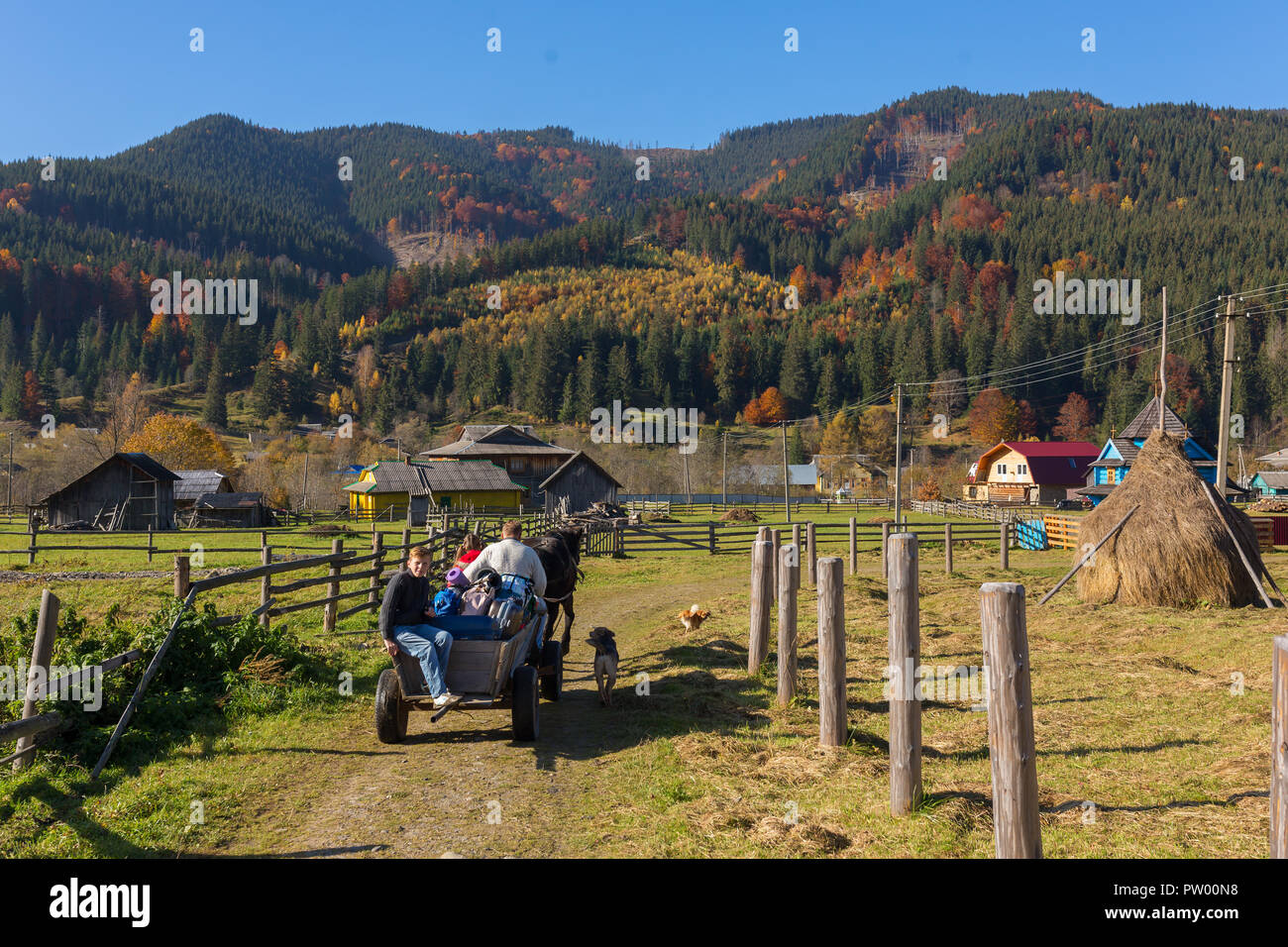 Zelene, Ukraine - October 16, 2017: Beautiful autumn landscape with a ...