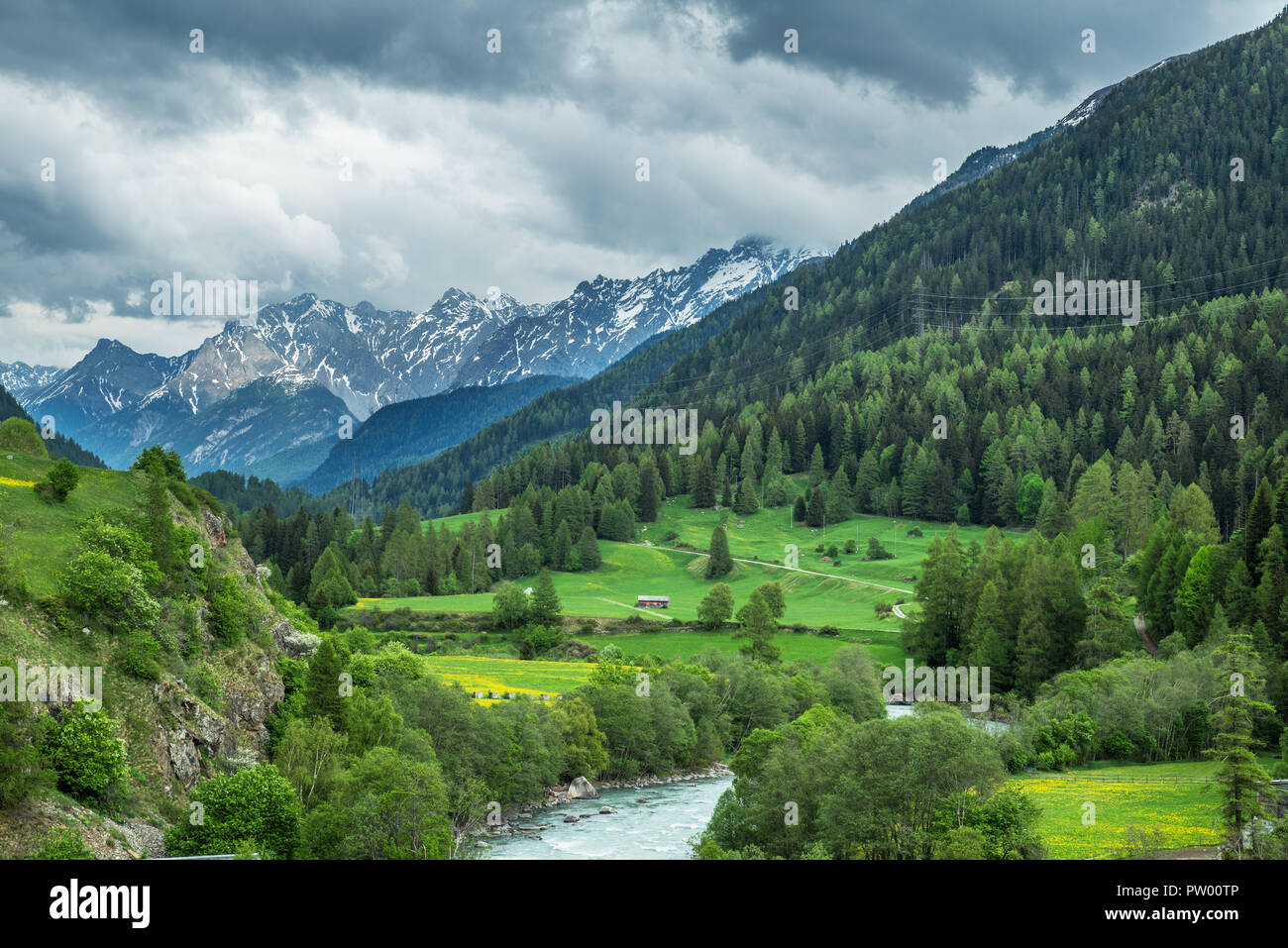 Lavin hi-res stock photography and images - Alamy