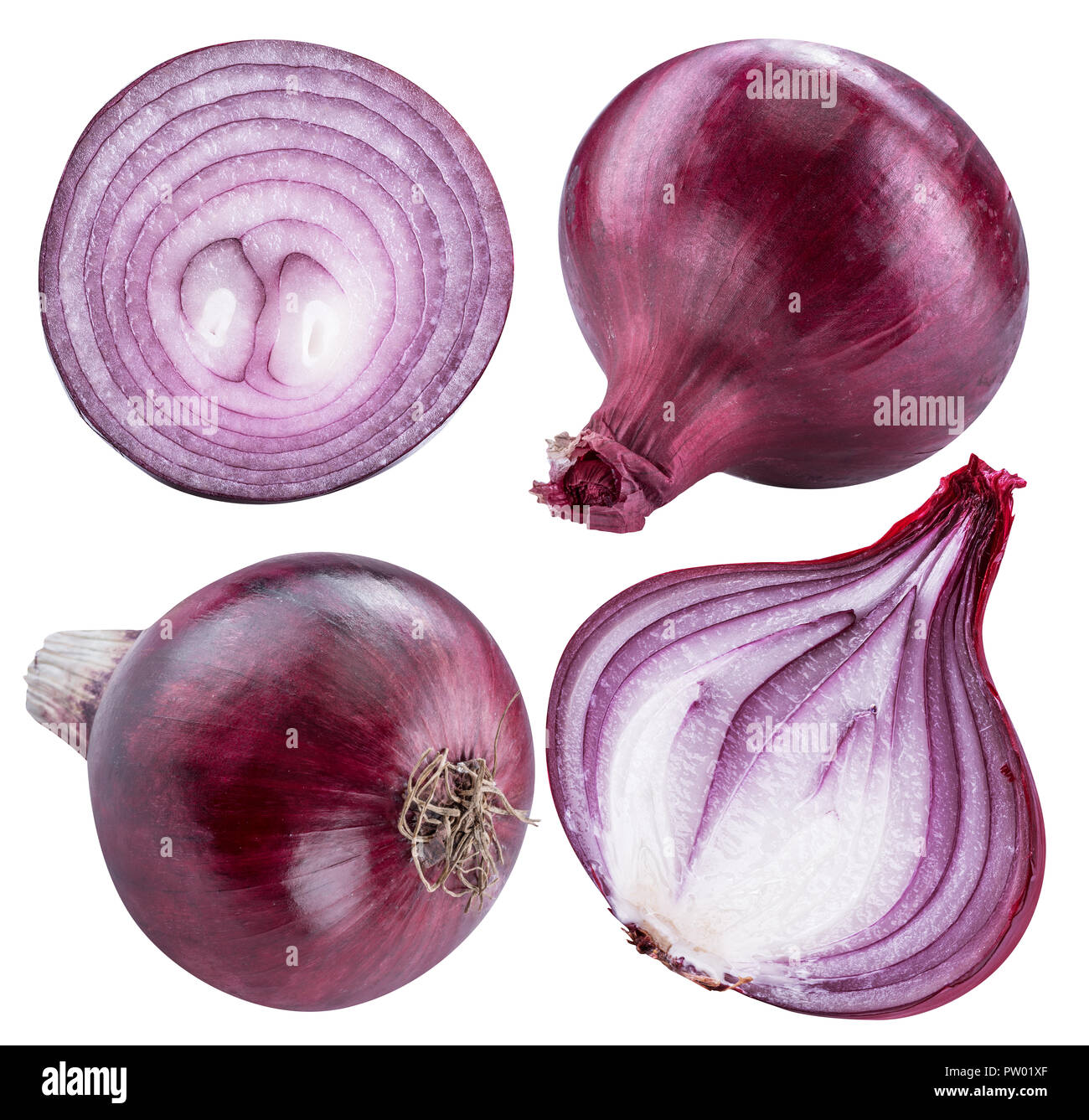 Red onion bulbs and cross sections of onion. File contains clipping ...