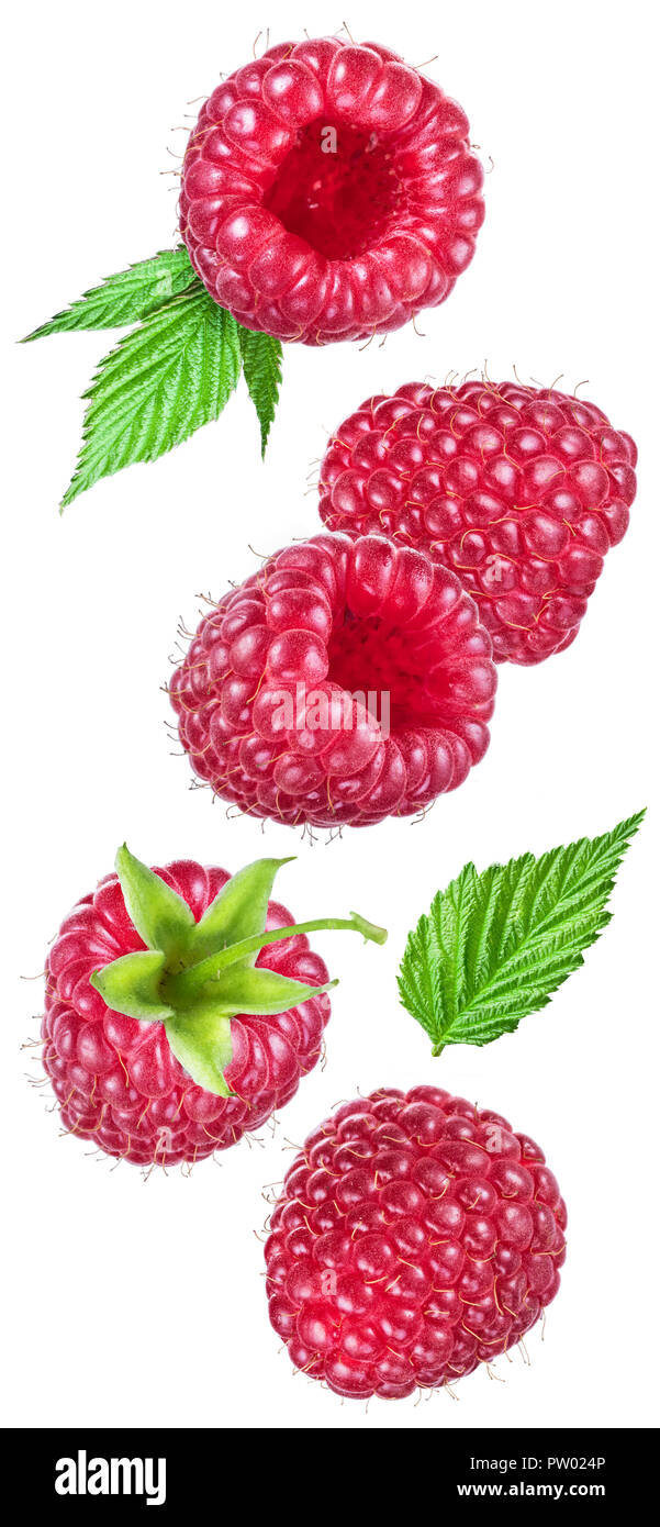 Set of five ripe raspberries with raspberry leaves isolated on white ...