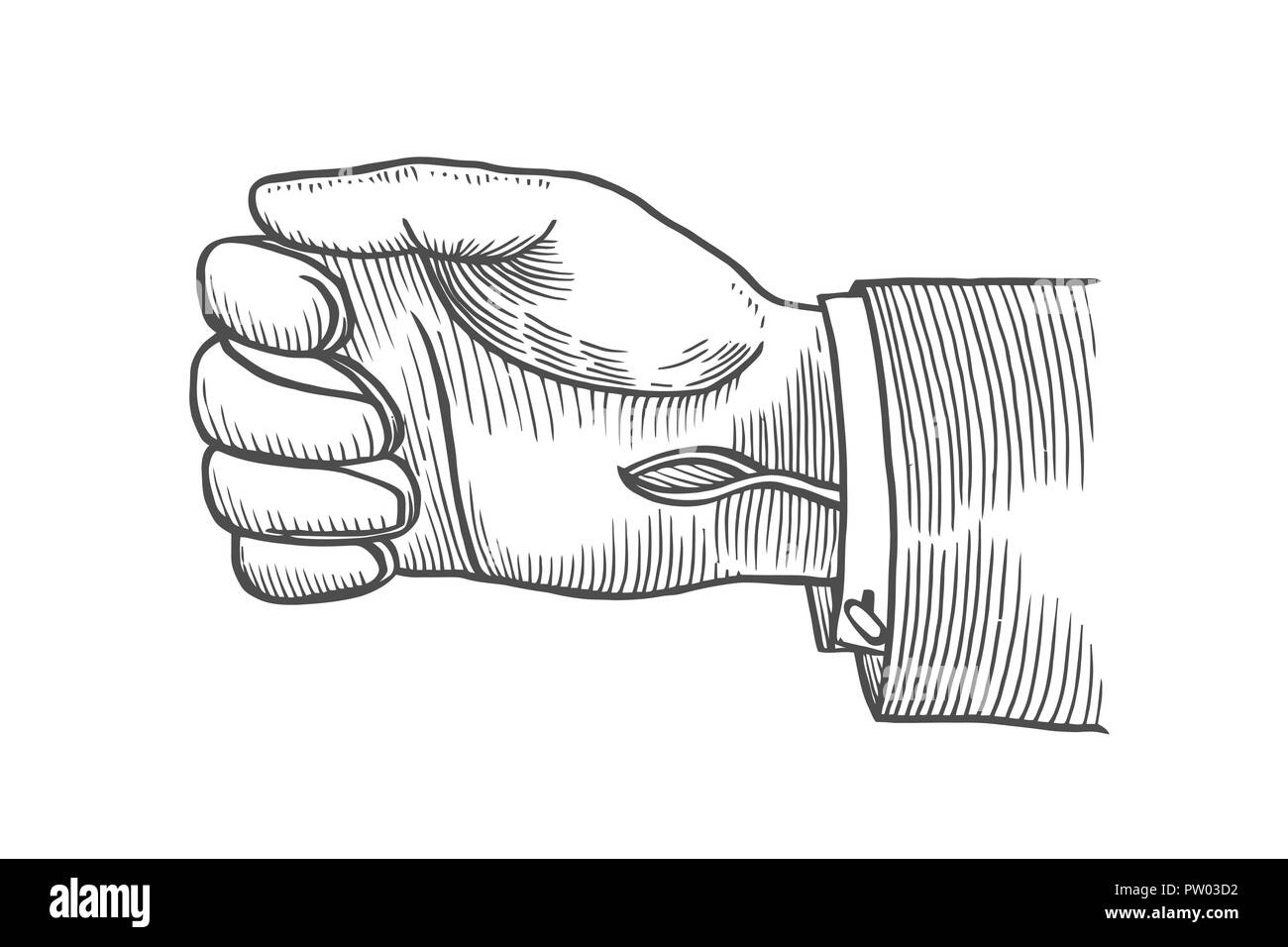 Leather Gloved on Hand, drawing, engraving, ink, line art, vector Stock ...