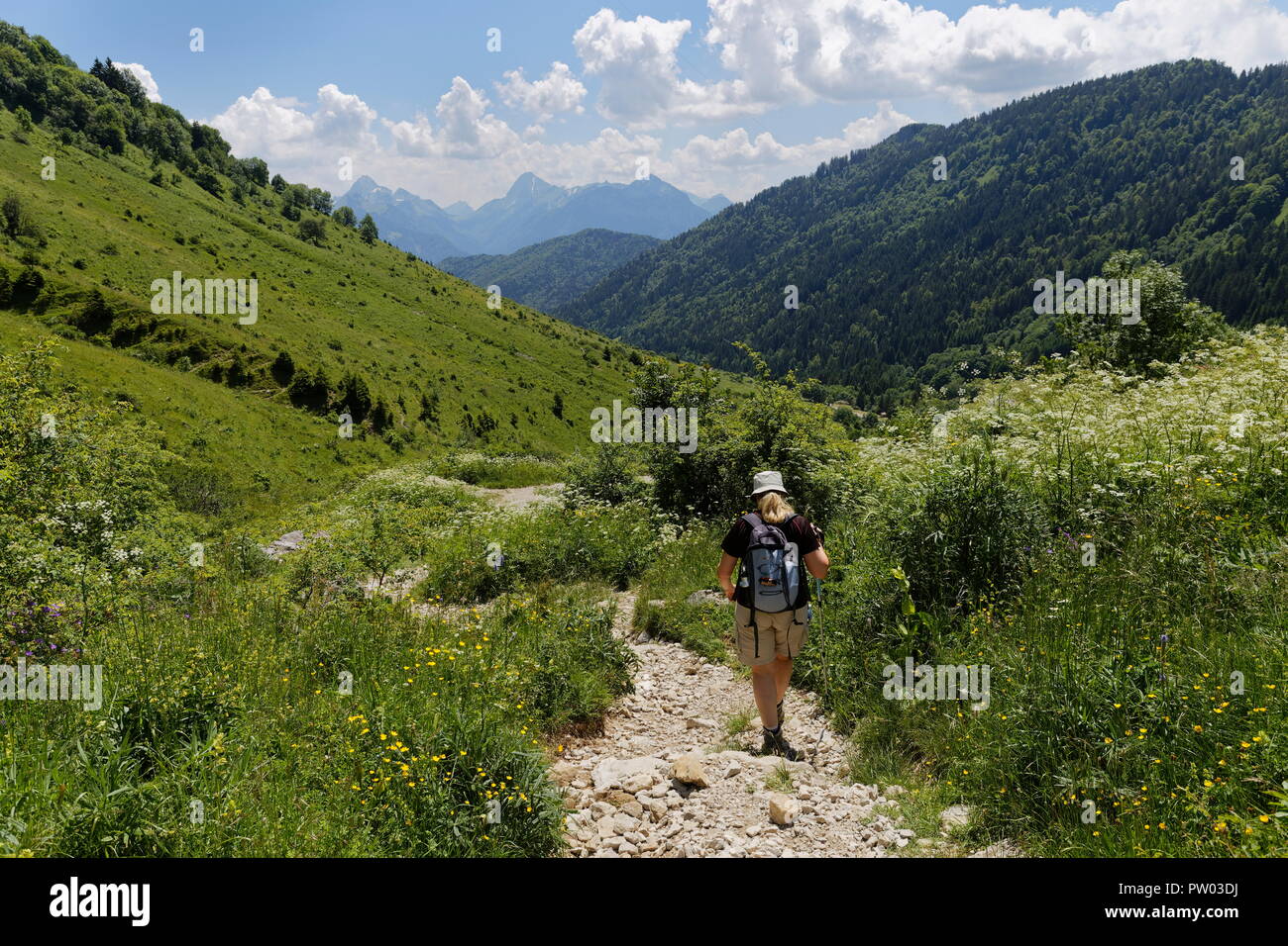 Female hiker walking on a footpath trail with views of valleys and ...