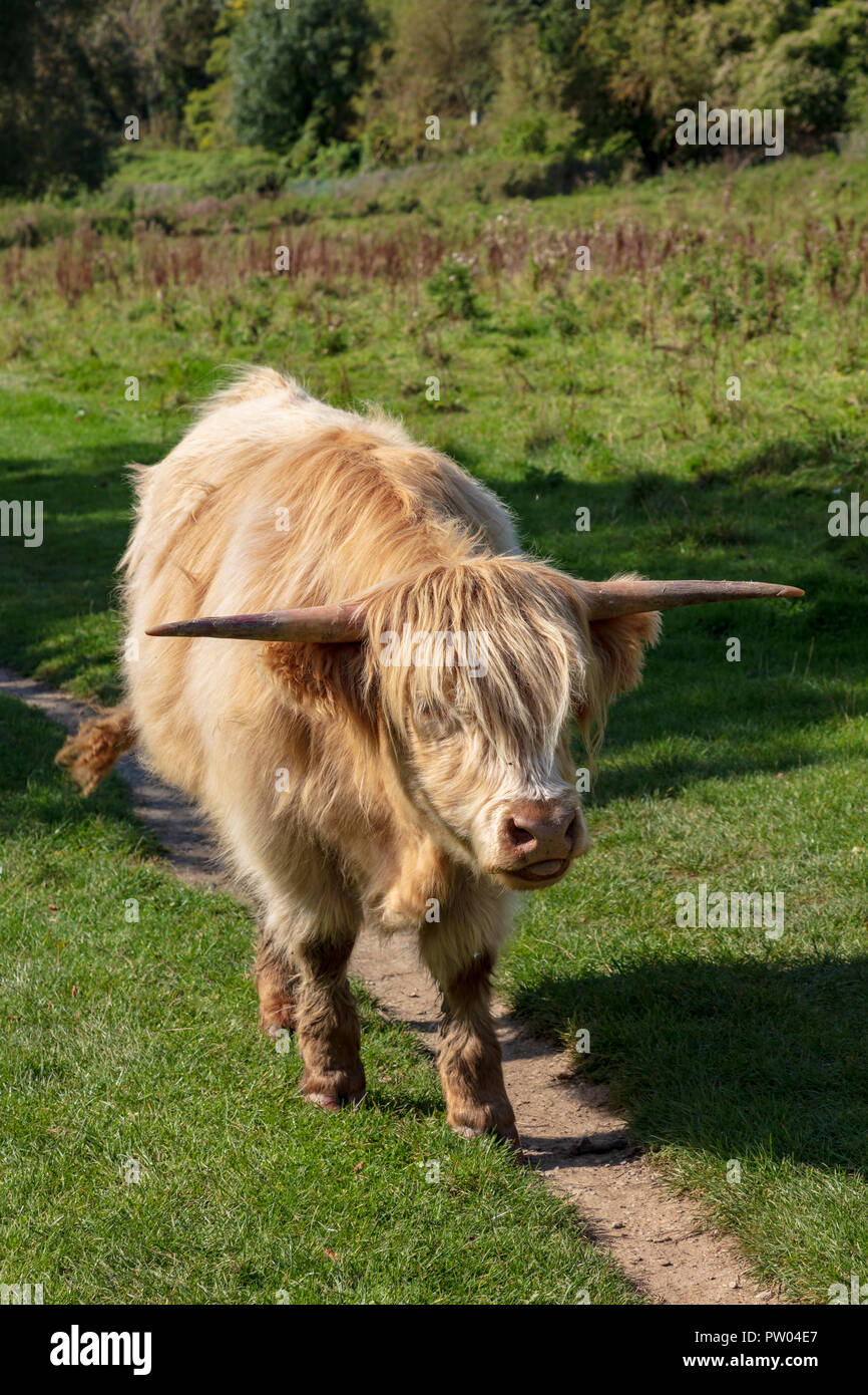 Barming kent hi-res stock photography and images - Alamy