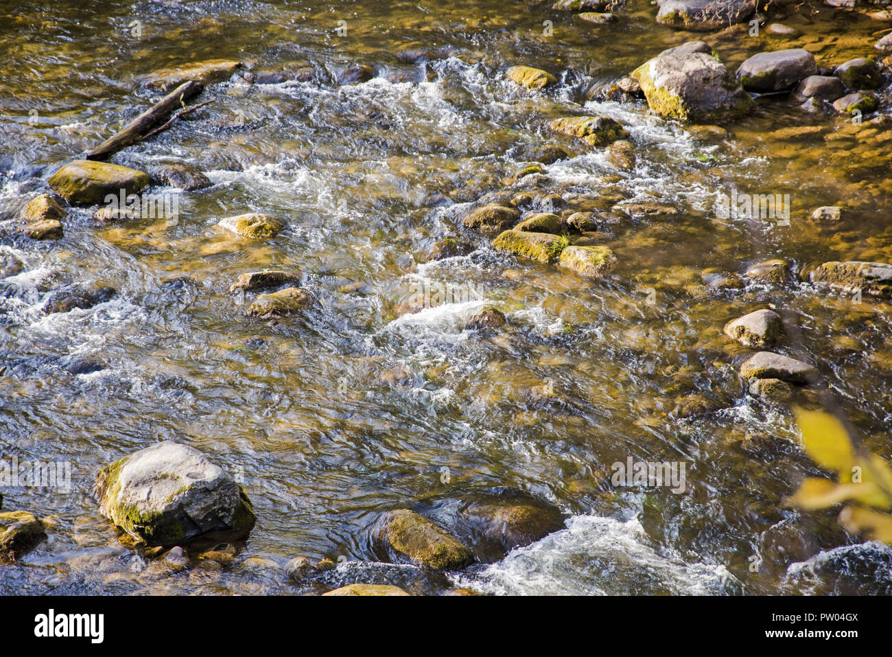 River water flowing through stones. Sunny autumn day Stock Photo - Alamy