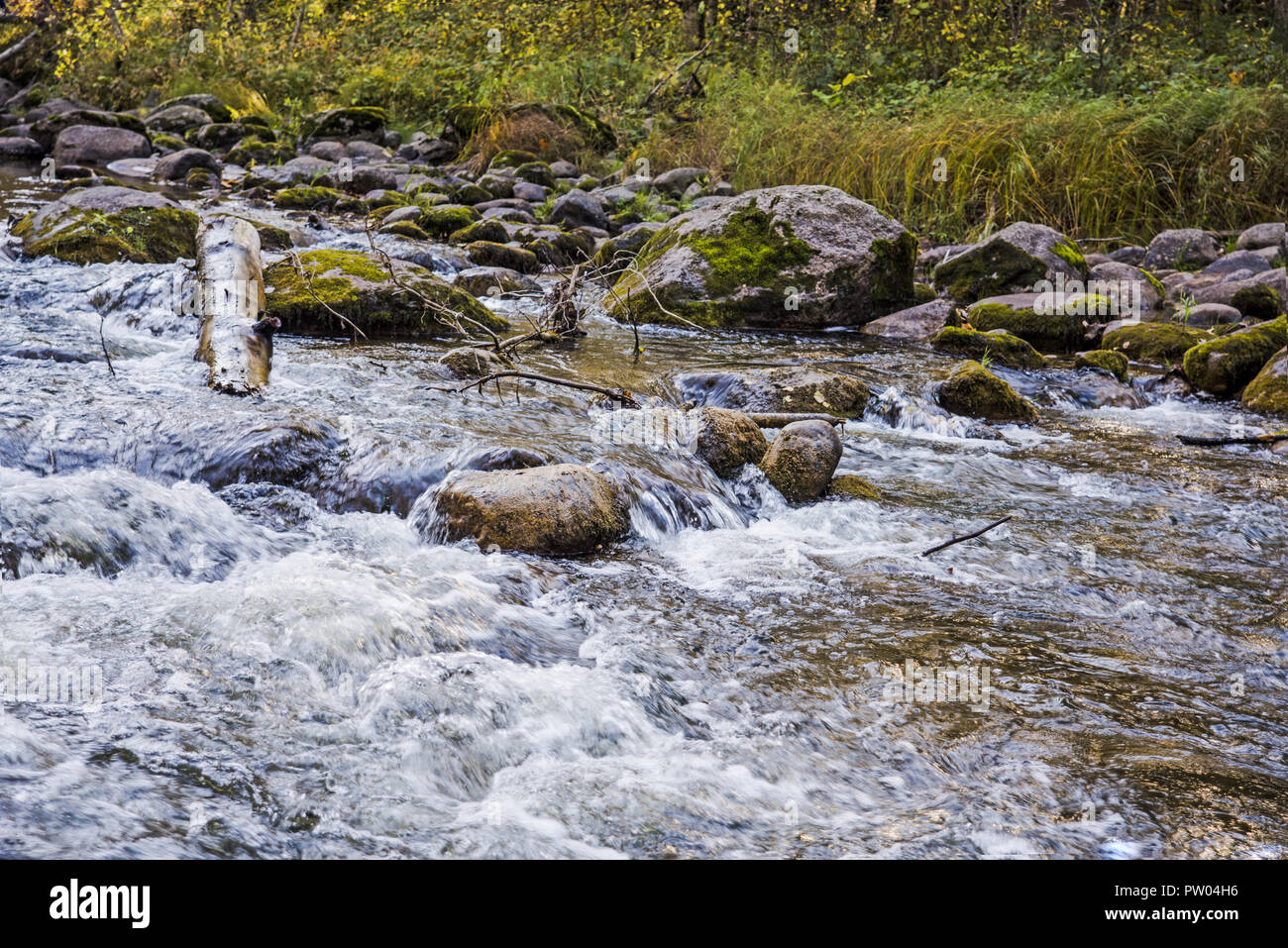 River water flowing through stones. Sunny autumn day Stock Photo - Alamy