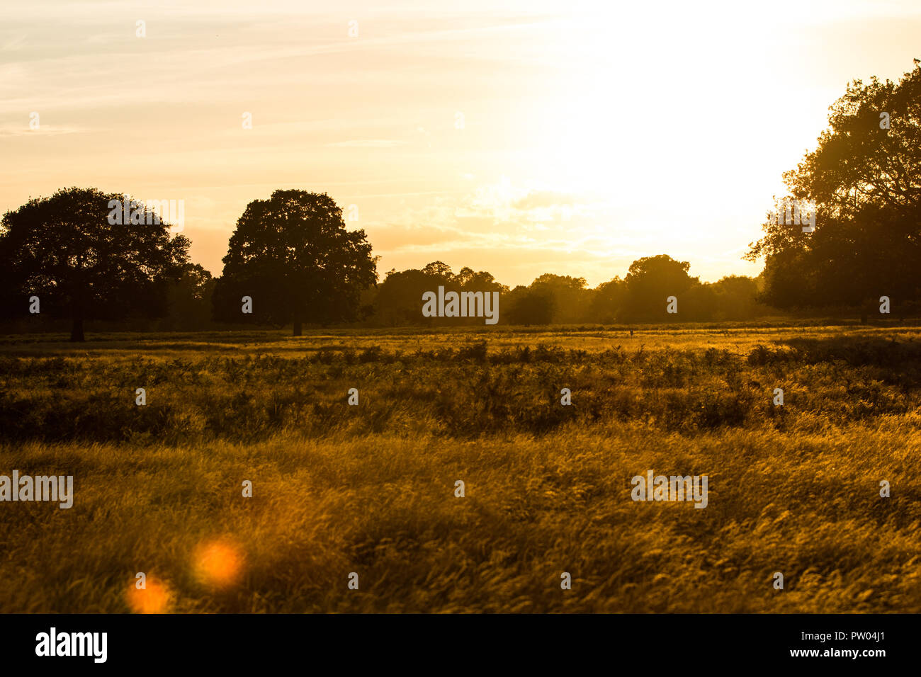 Bushy trails High Resolution Stock Photography and Images - Alamy