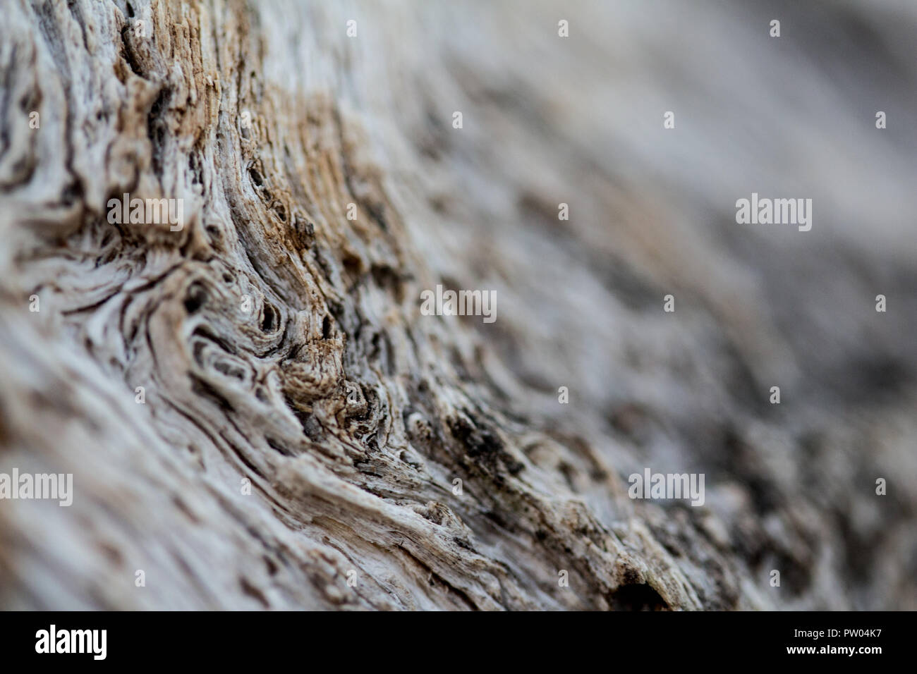 Abstract wood background Stock Photo - Alamy