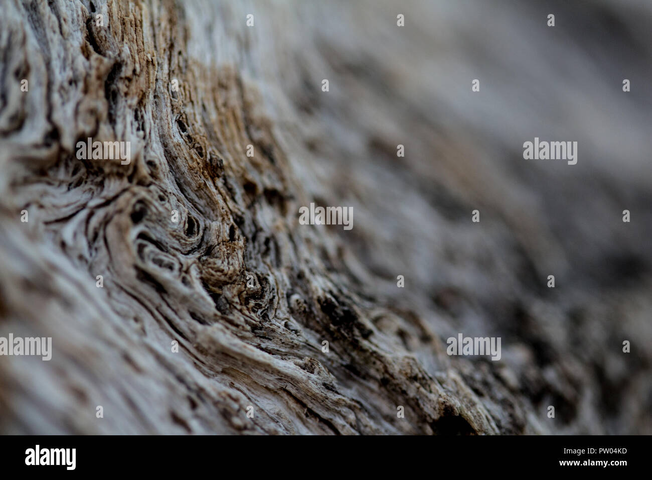 Abstract wood background Stock Photo - Alamy