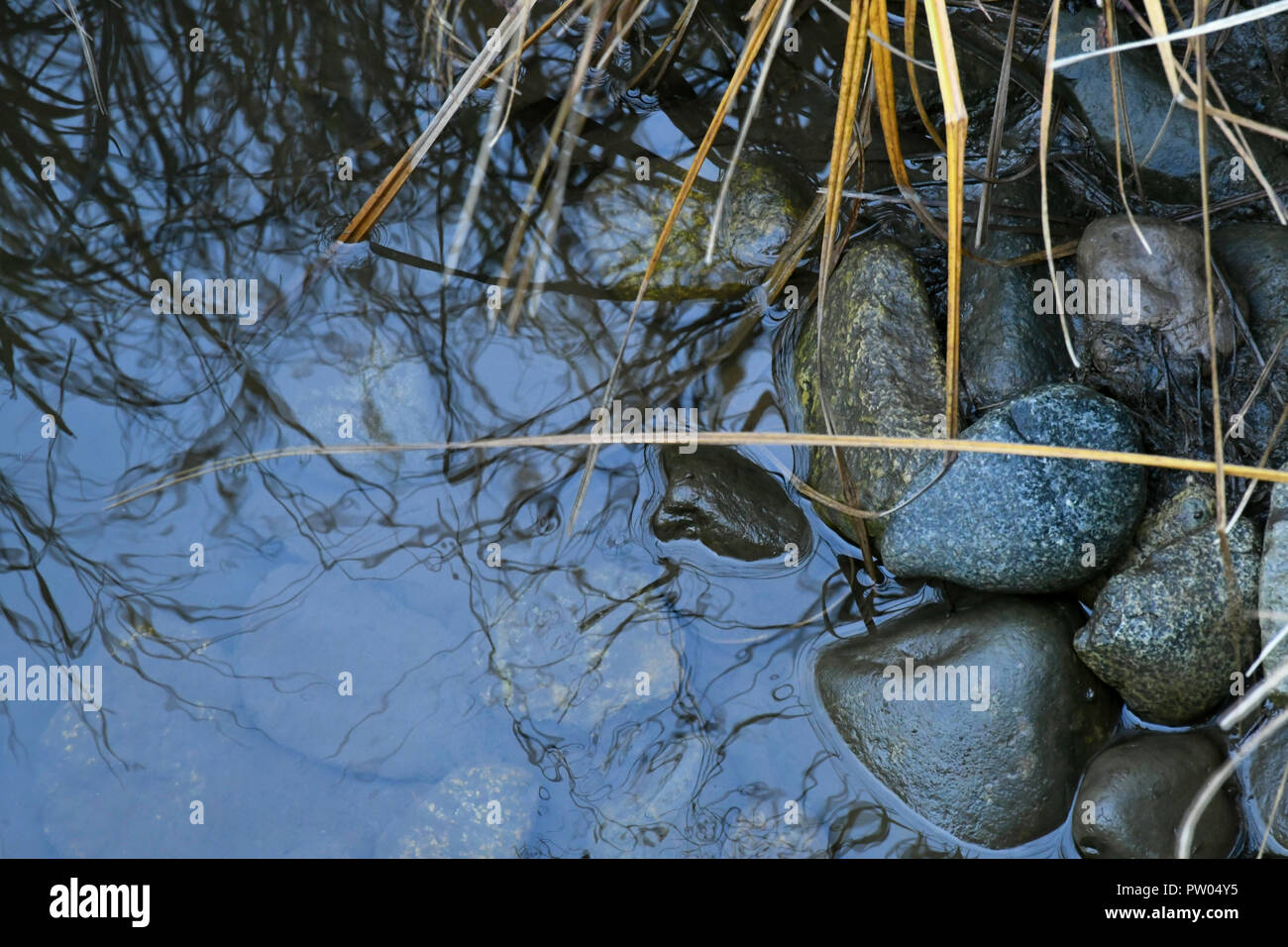 Fall autumn rocks and water reflection background in a pond Stock Photo ...