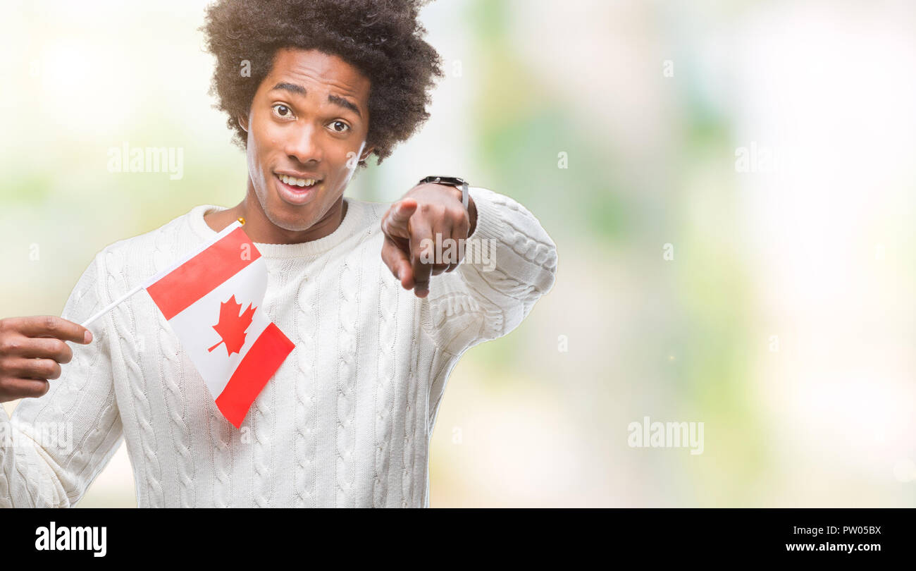 Afro american man flag of Canada over isolated background pointing with ...