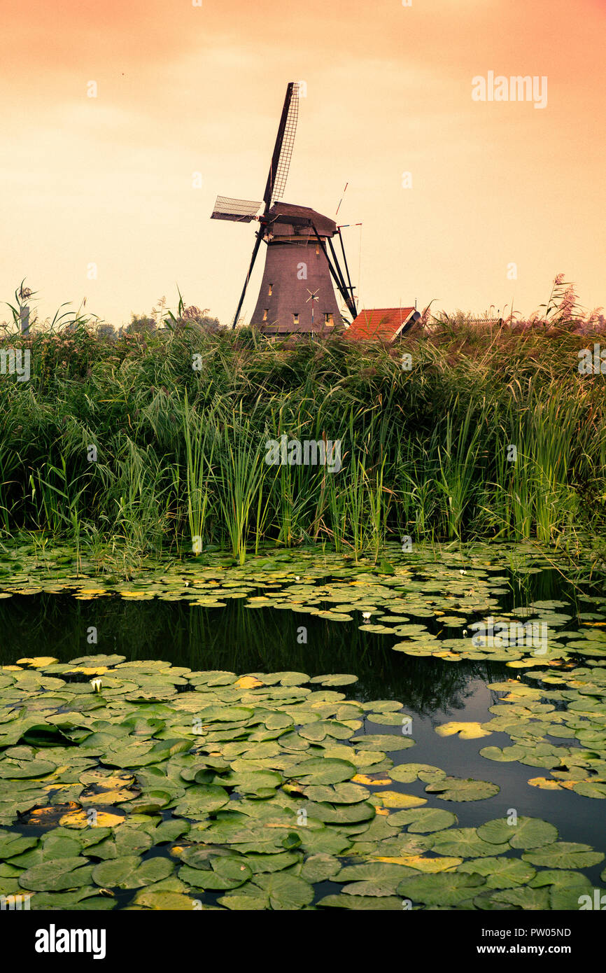 Beautiful Dutch windmills at sunset from Holland Stock Photo - Alamy
