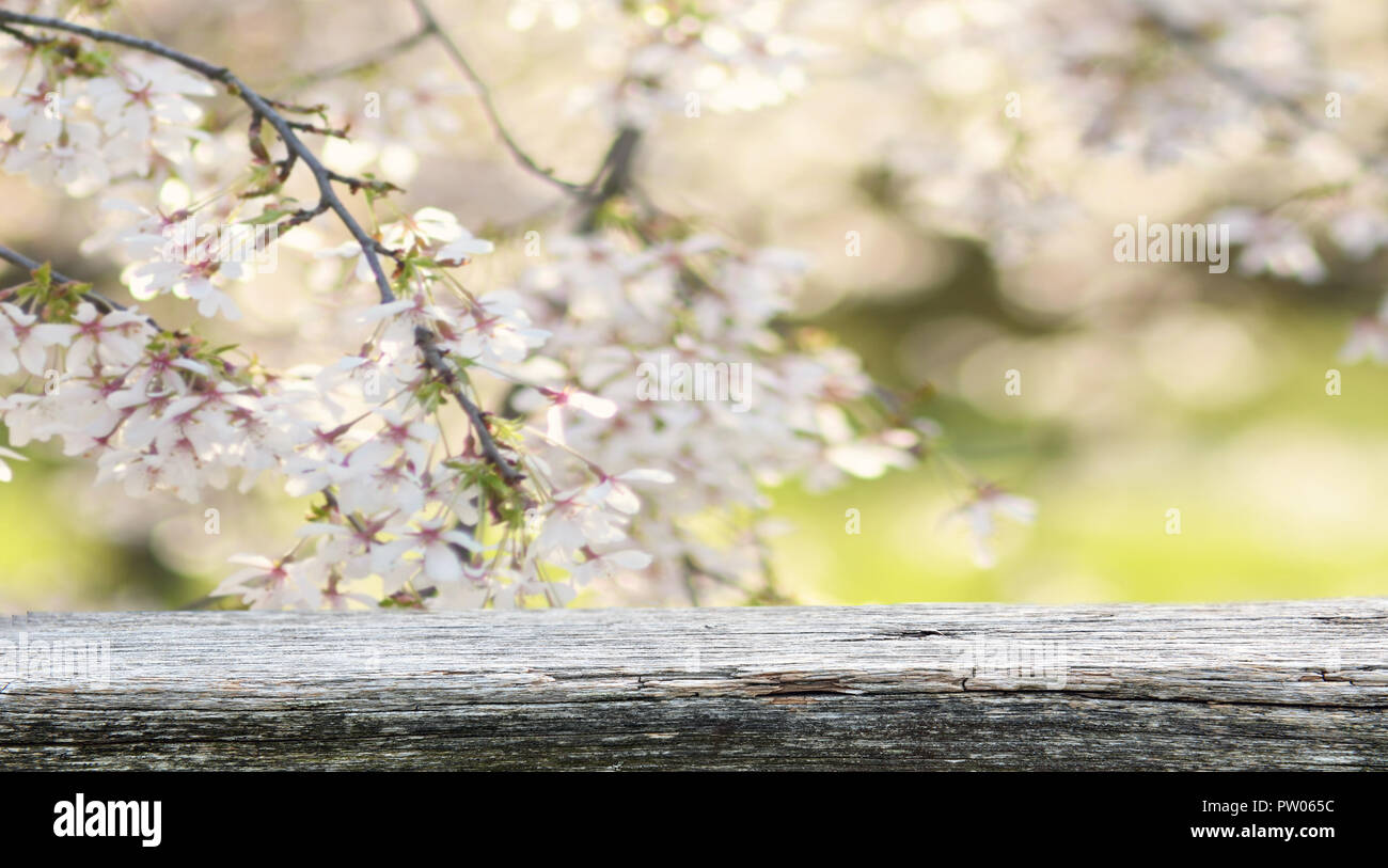 Spring background ready for your display montages Stock Photo - Alamy