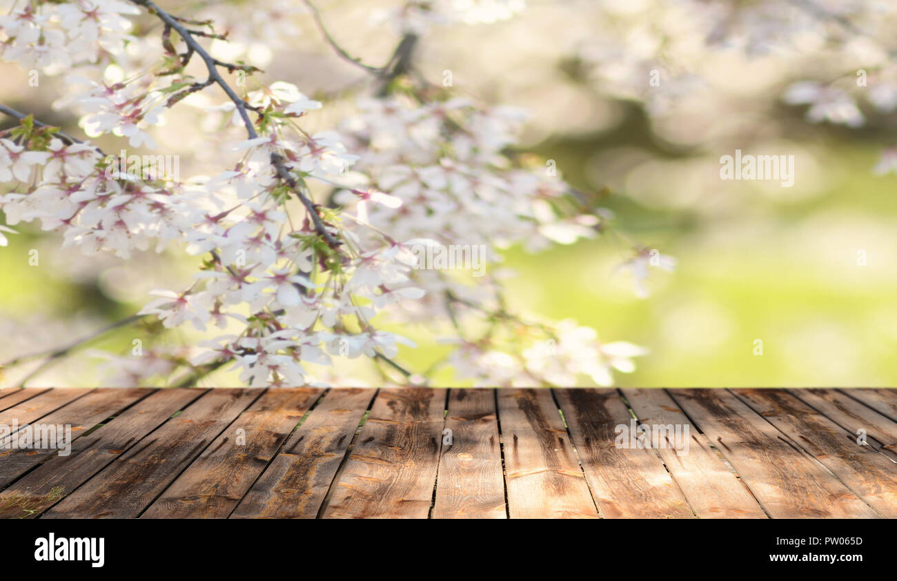 Spring background ready for your display montages Stock Photo - Alamy