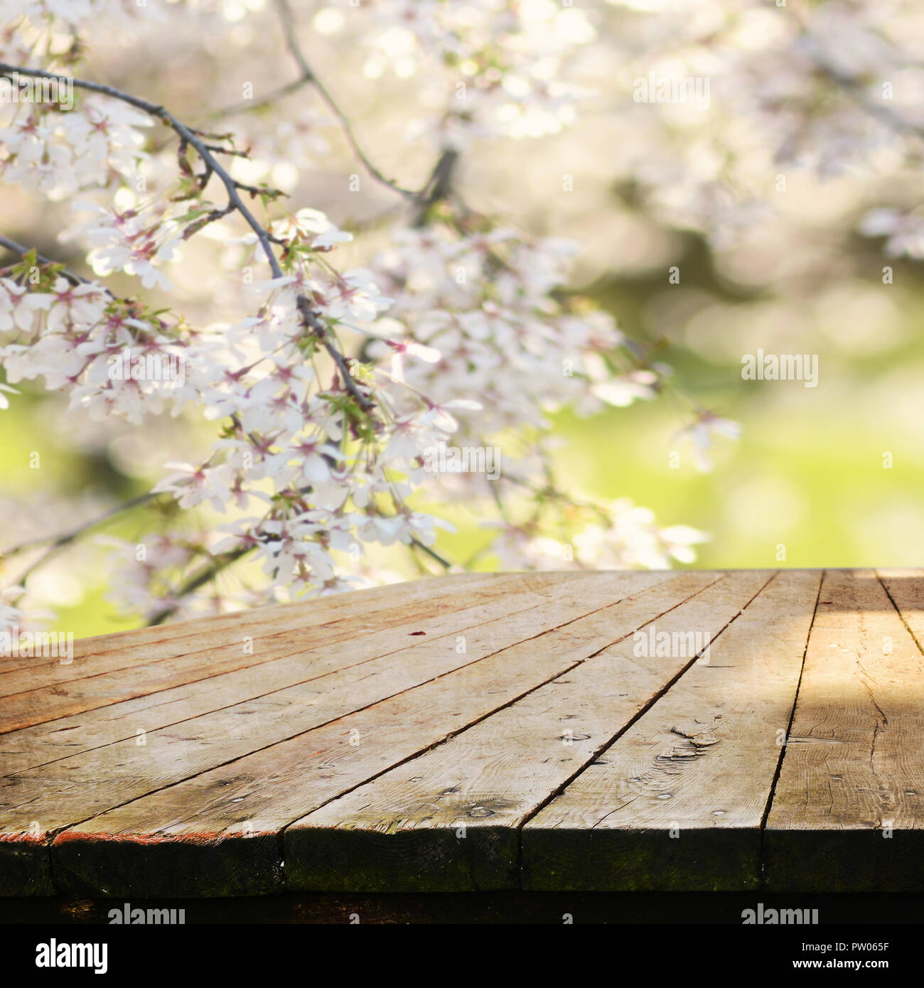 Spring background ready for your display montages Stock Photo - Alamy