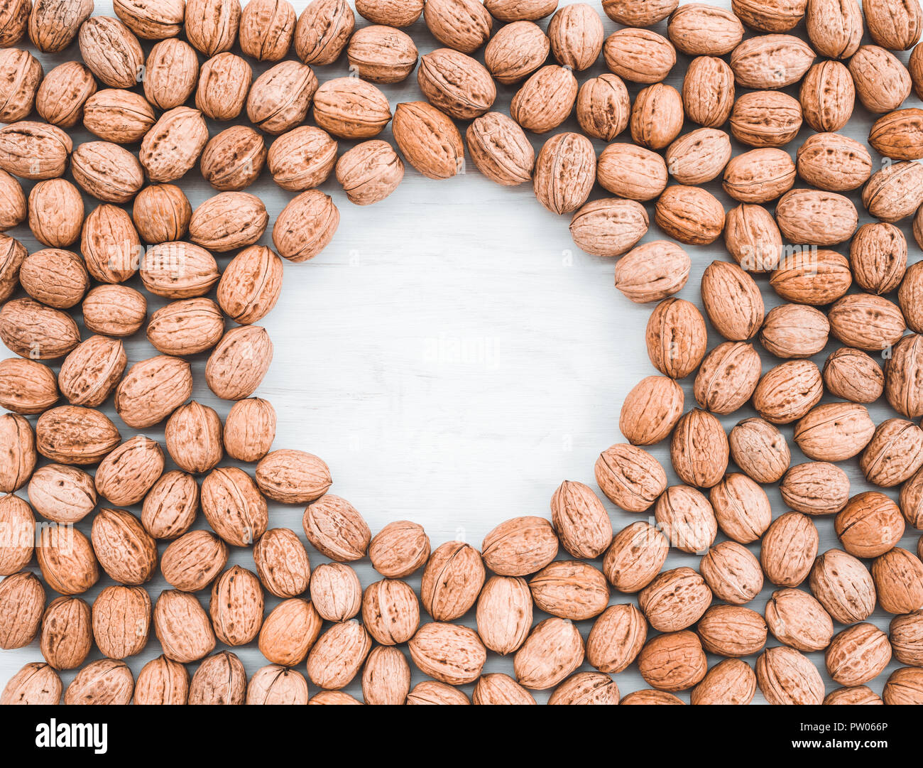 Lots of walnuts in shells, on white wooden background with copy space ...