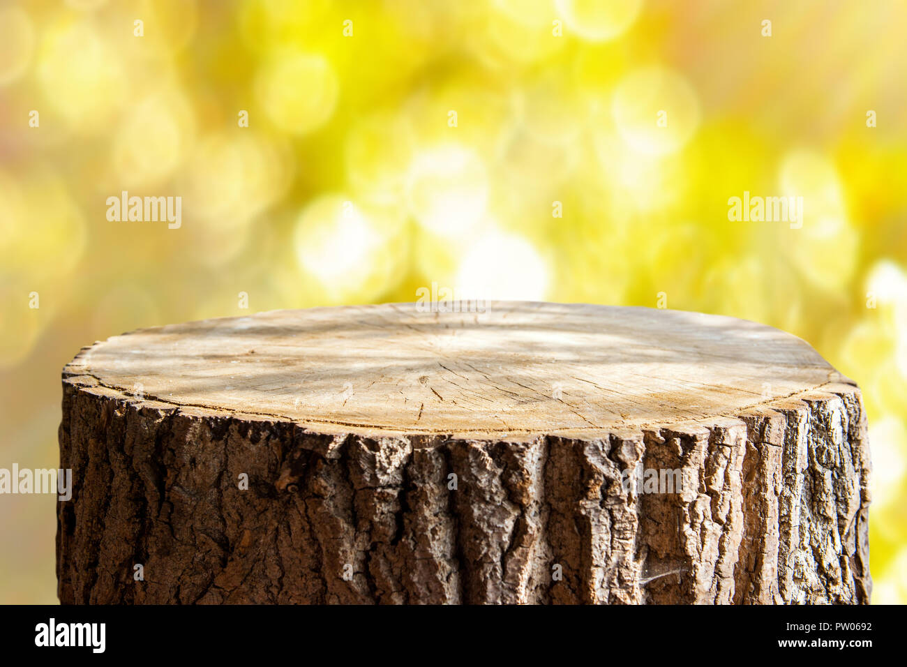 Empty tree trunk for display montags Stock Photo - Alamy
