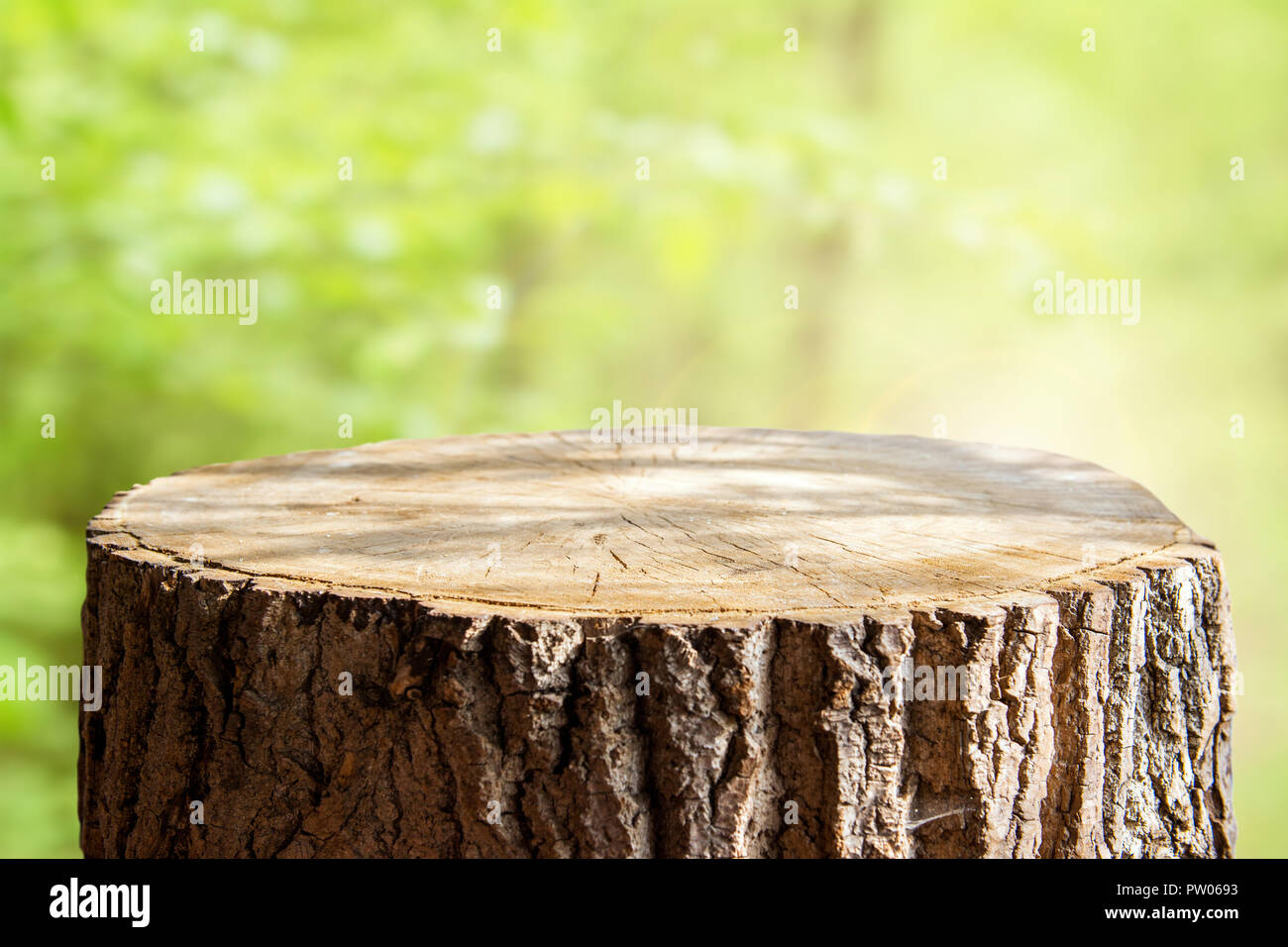 Empty tree trunk for display montags Stock Photo - Alamy