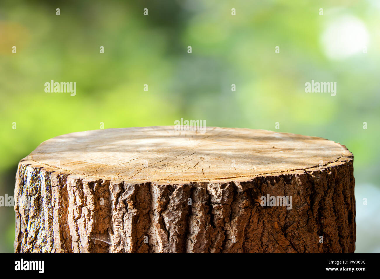 Empty tree trunk for display montags Stock Photo - Alamy
