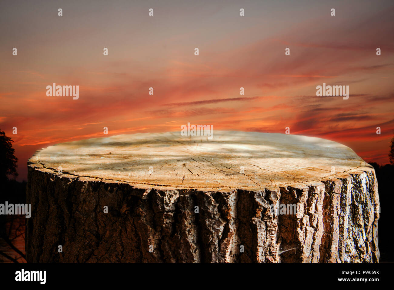 Empty tree trunk for display montags Stock Photo - Alamy