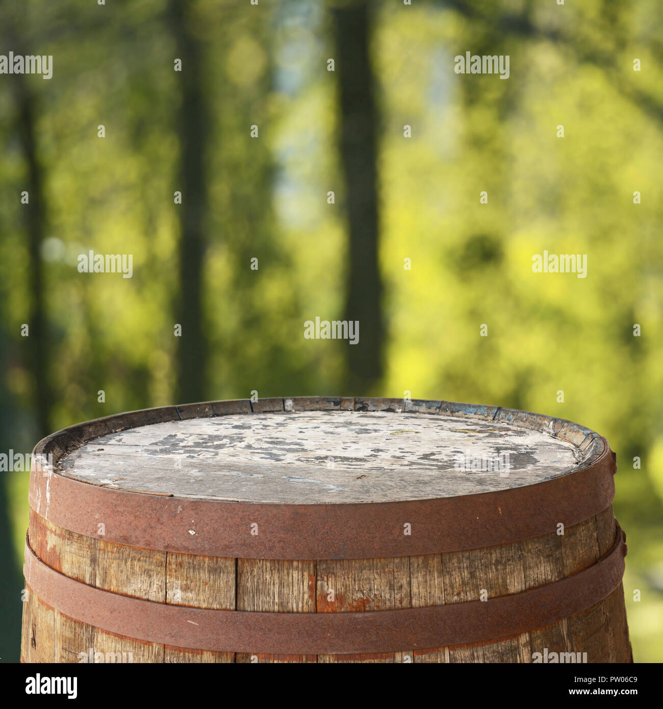 Old barrel top for display montages Stock Photo - Alamy