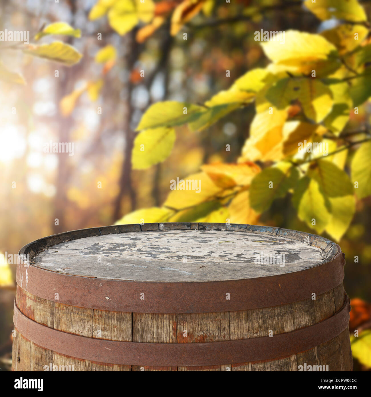 Old barrel top for display montages Stock Photo - Alamy