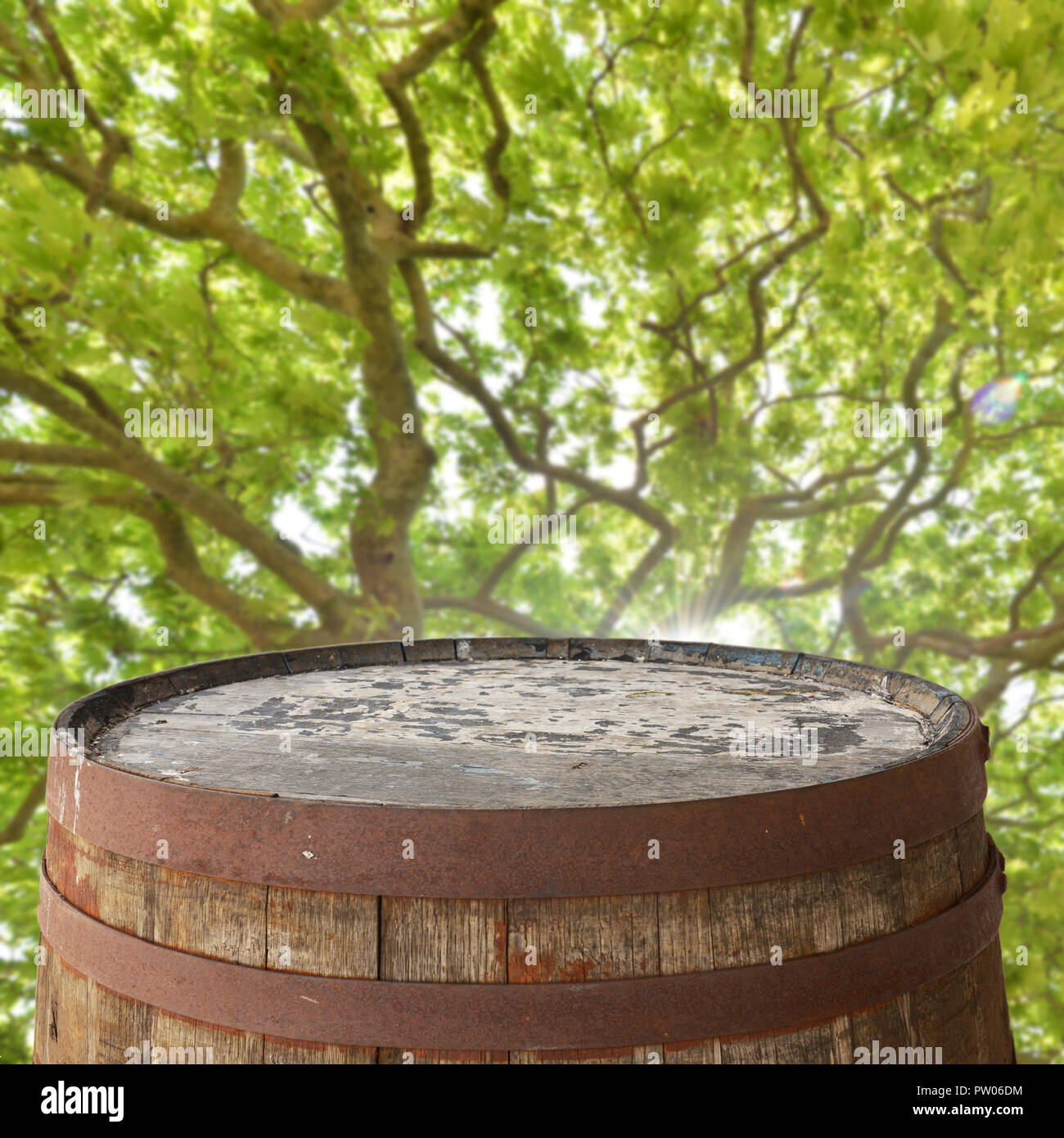 Old barrel top for display montages Stock Photo - Alamy