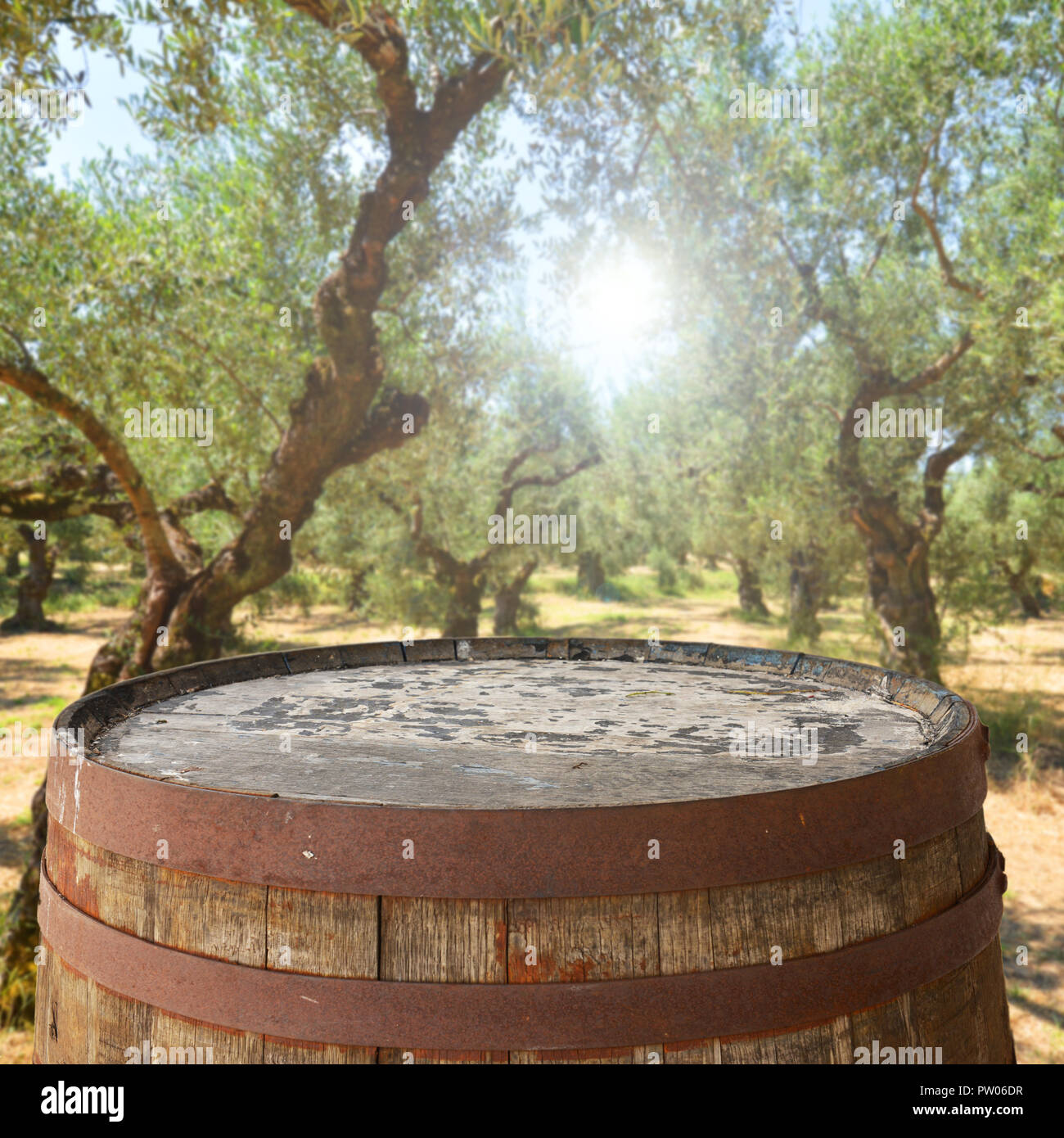 Olive oil barrel hi-res stock photography and images - Alamy