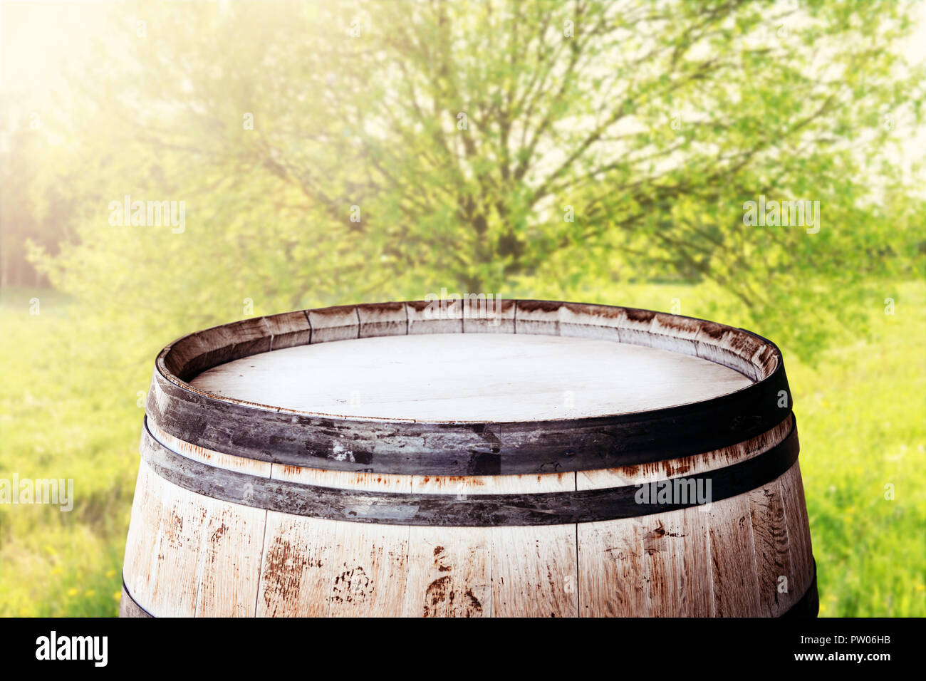 Old barrel top for display montages Stock Photo - Alamy