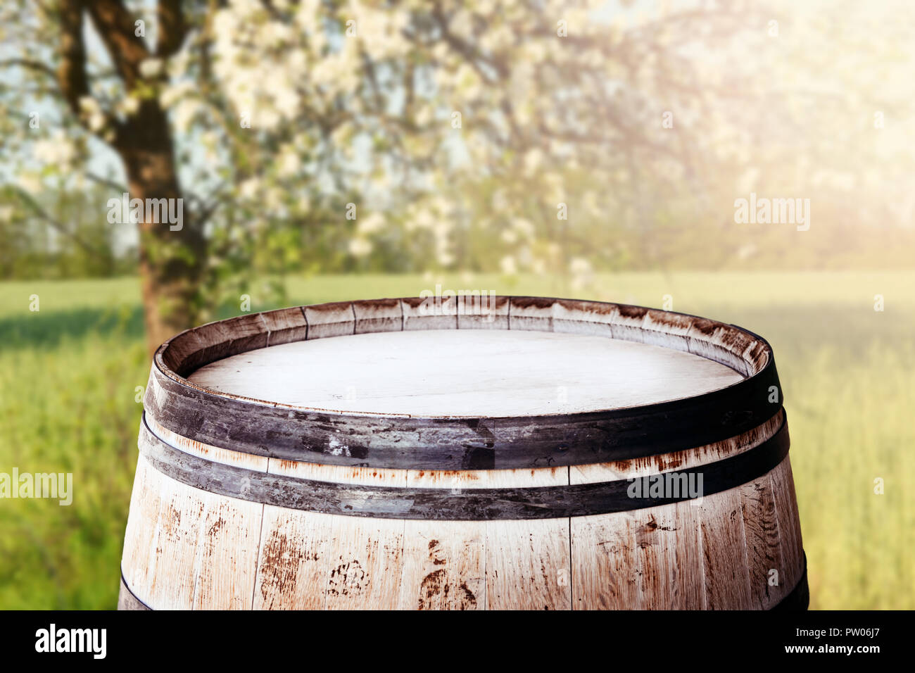 Old barrel top for display montages Stock Photo - Alamy