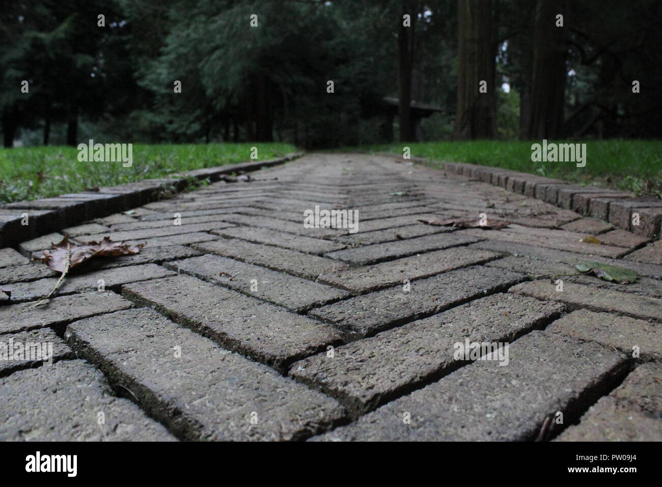 Garden red brick path hi-res stock photography and images - Alamy
