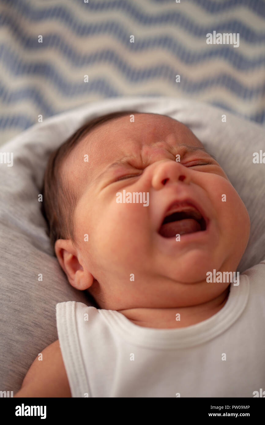 Little newborn baby boy crying in bed child, happiness and childhood ...