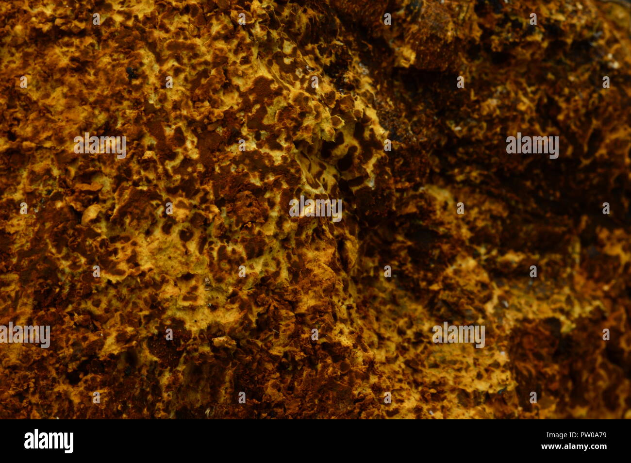 Beautiful pattern of fracture texture mushroom natural background Stock ...