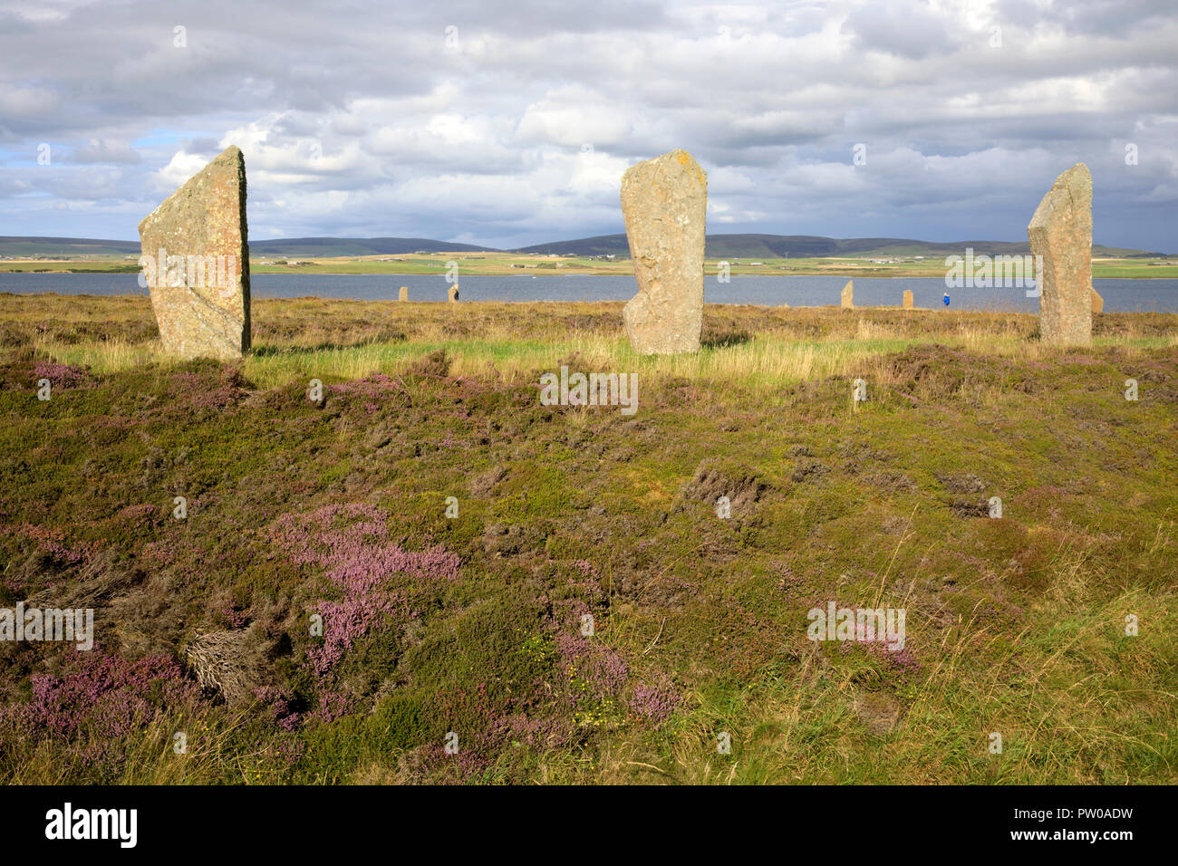 Ring of standing stones at Brodgar, Orkney, Scotland, Highlands, United ...