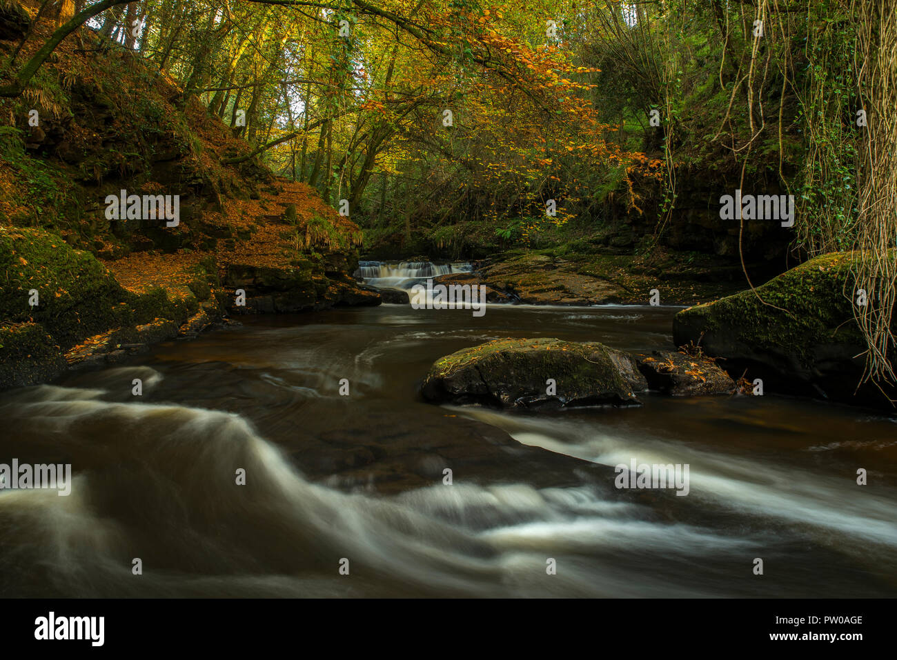 Gold River Rocks High Resolution Stock Photography and Images - Alamy