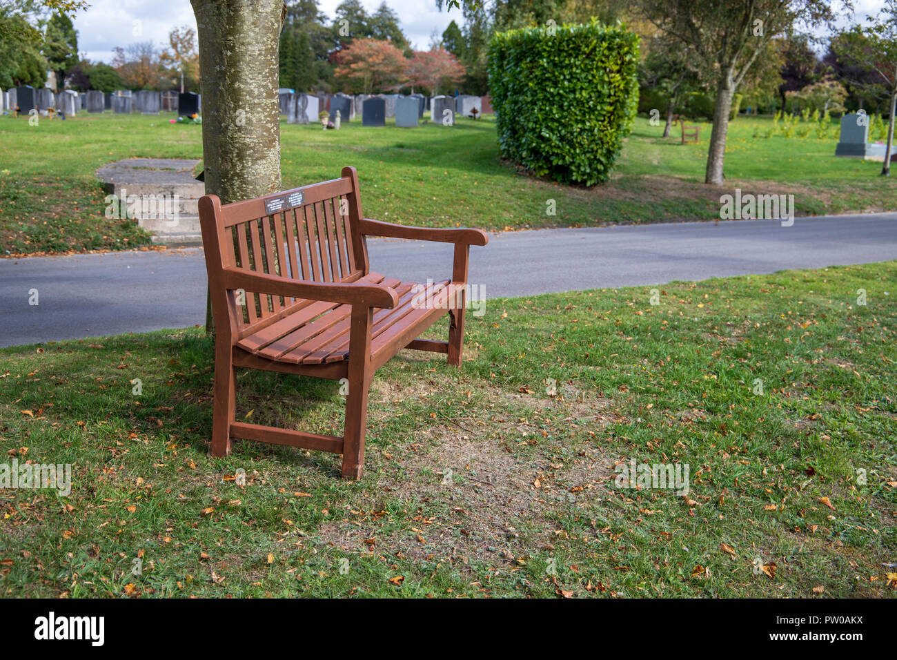 Wooden Bench at Haycombe Cemetery, Bath UK Stock Photo - Alamy