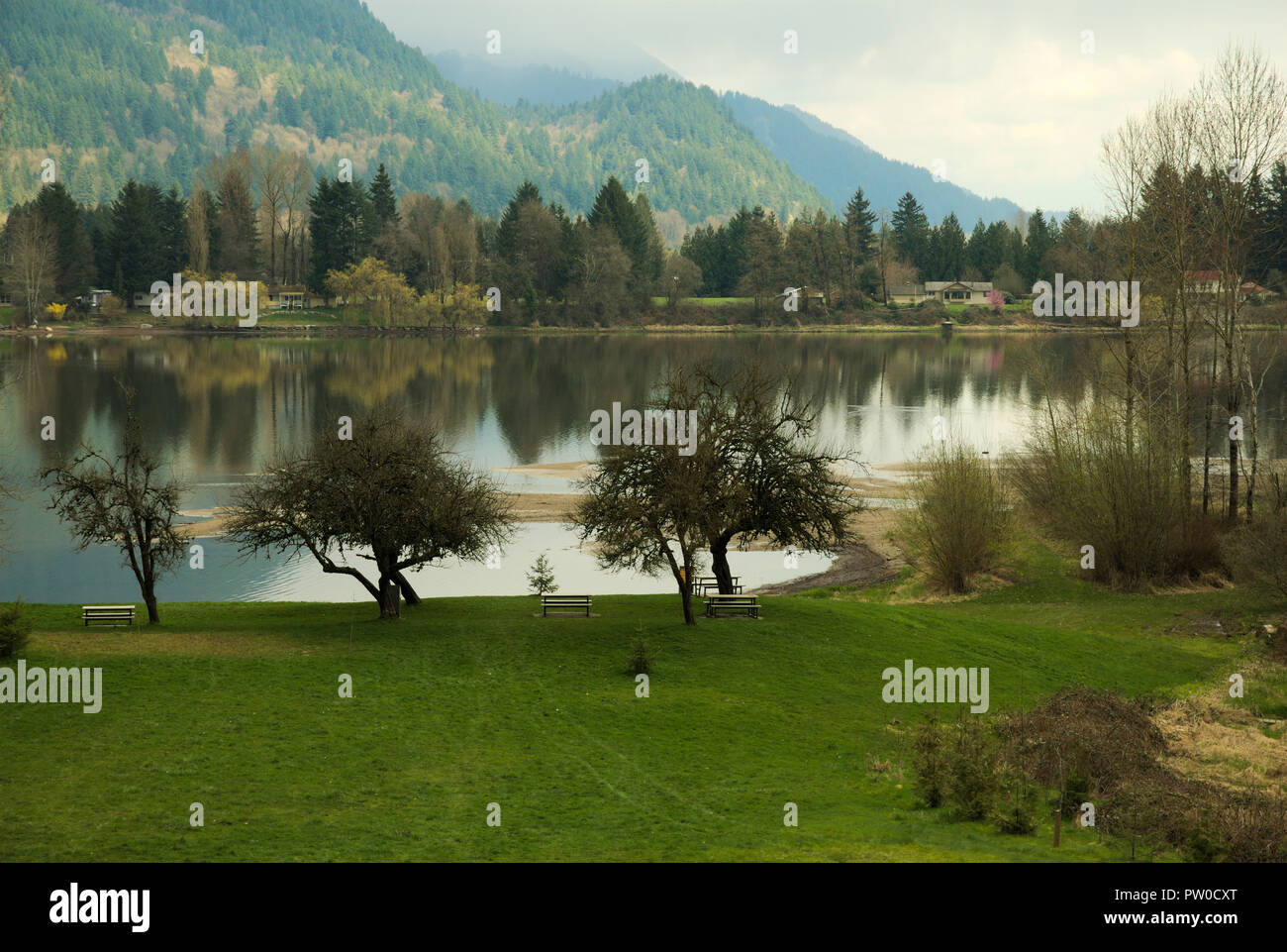 British columbia canada ferns hi-res stock photography and images - Alamy