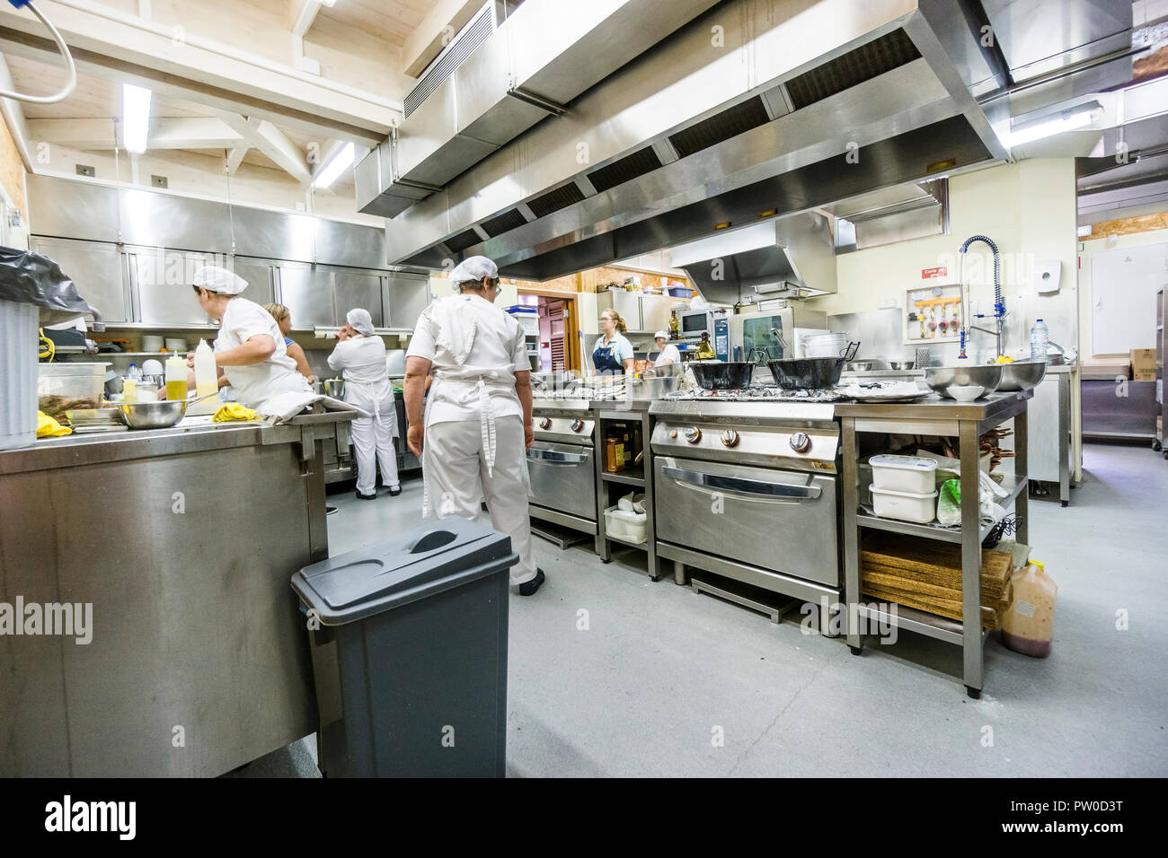 Kitchen staff busy with preparing food during lunch time in the ...