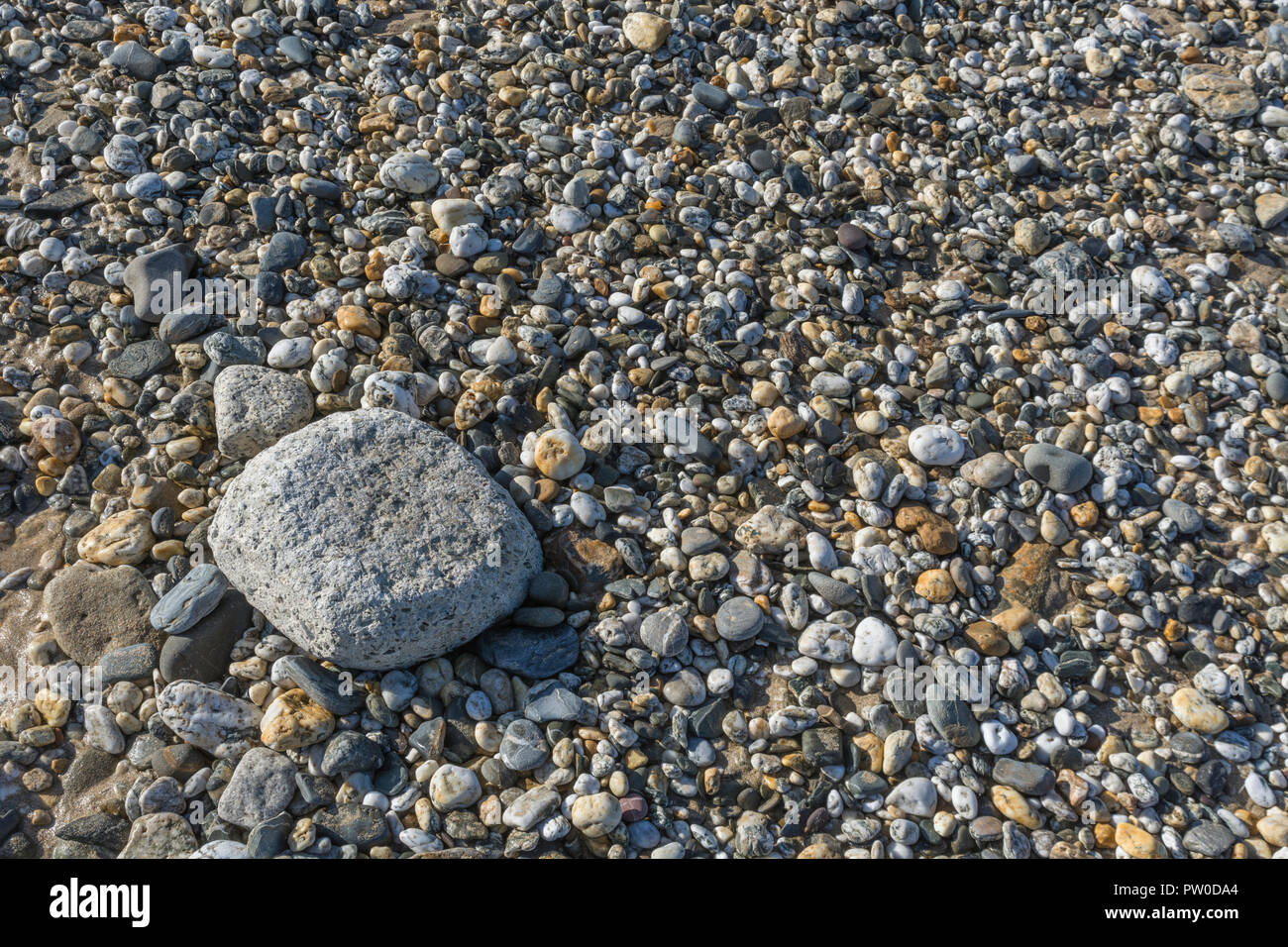 Larger rock (possibly made of concrete) alone on shingle bed composed ...
