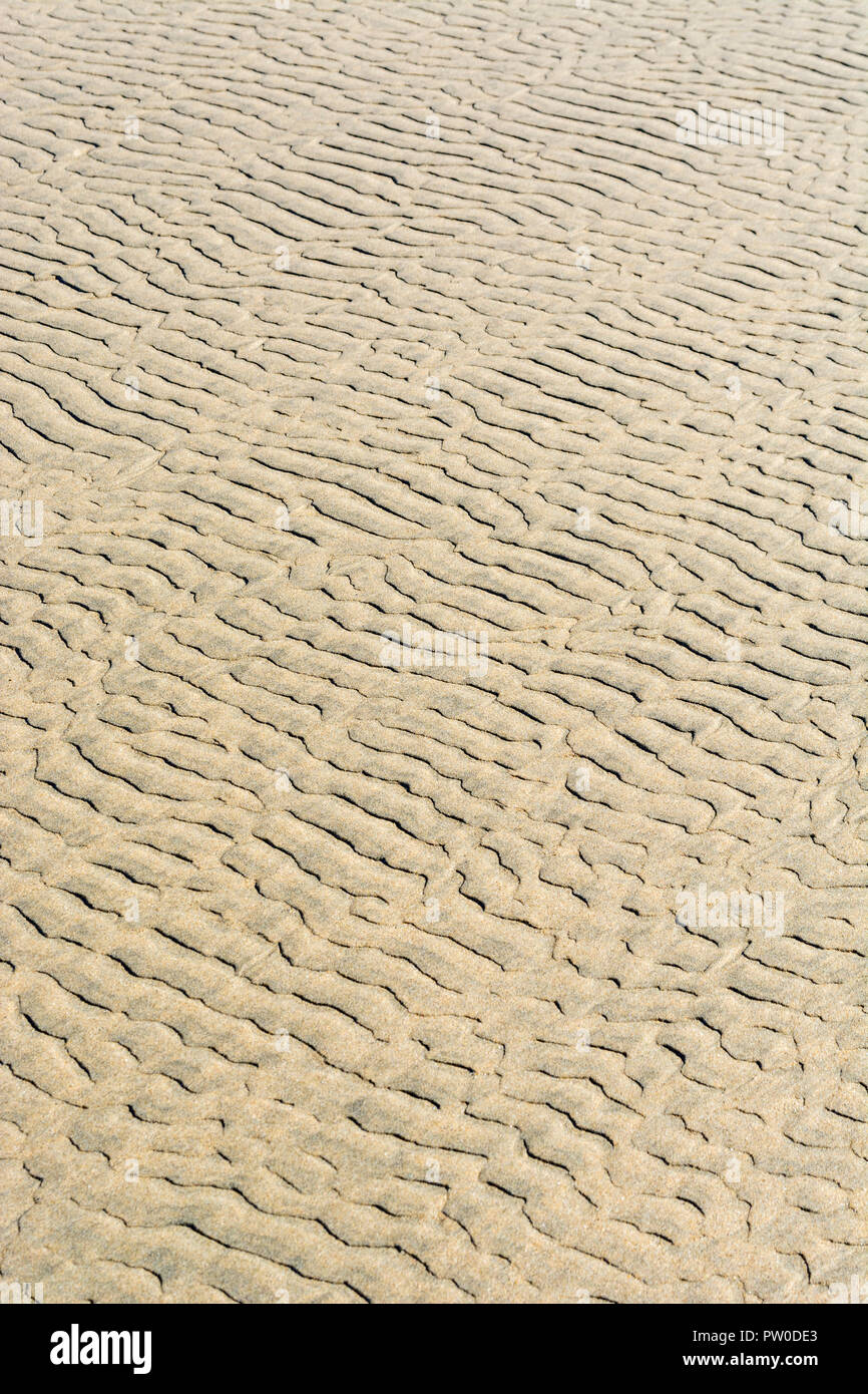 Low tide ripple marks / fluvial ridges in wet beach sand. Mars-like ...