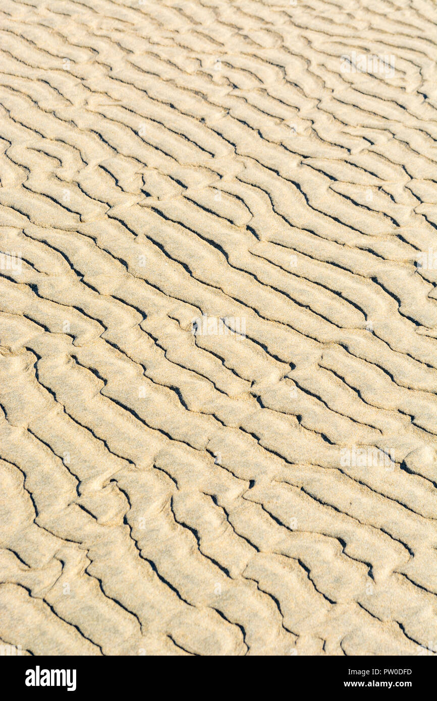 Low tide ripple marks / fluvial ridges in wet beach sand. Mars-like ...