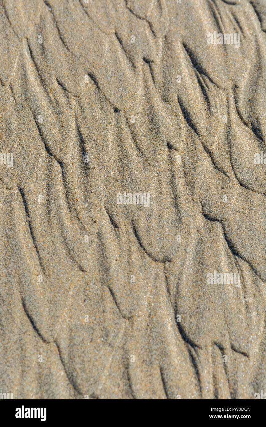 Low tide ripple marks / fluvial ridges in wet beach sand. Mars-like ...