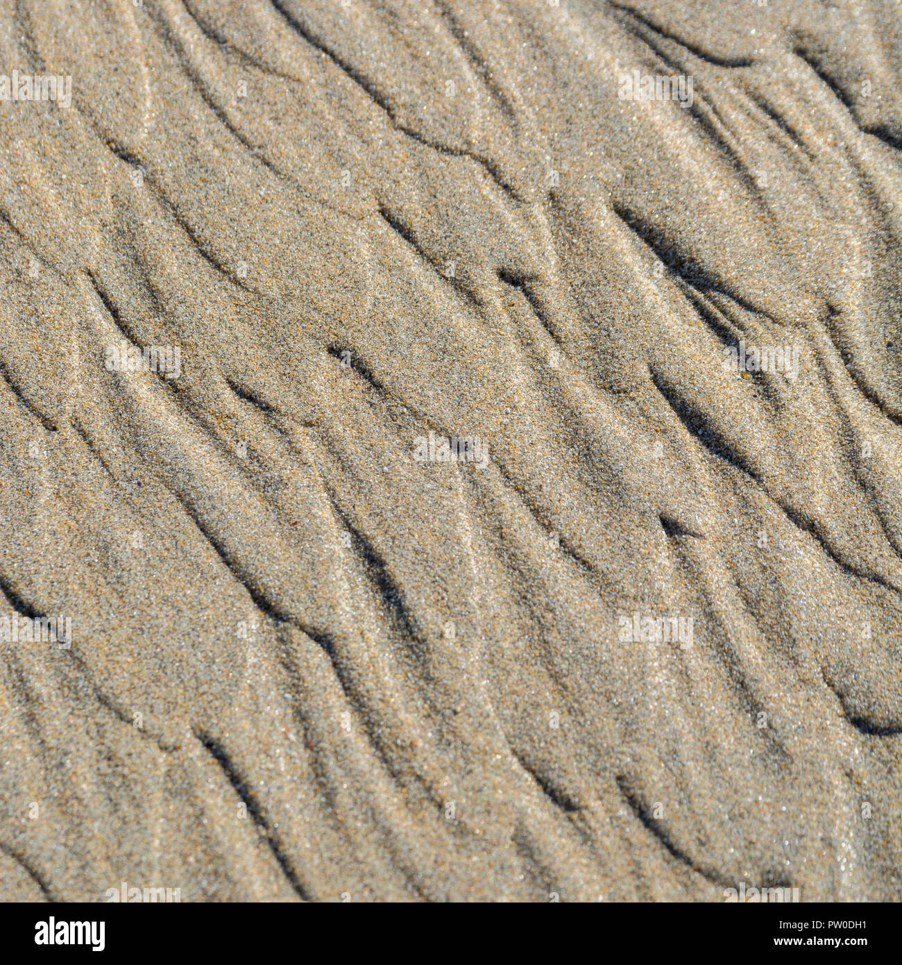 Ripple Marks High Resolution Stock Photography and Images - Alamy