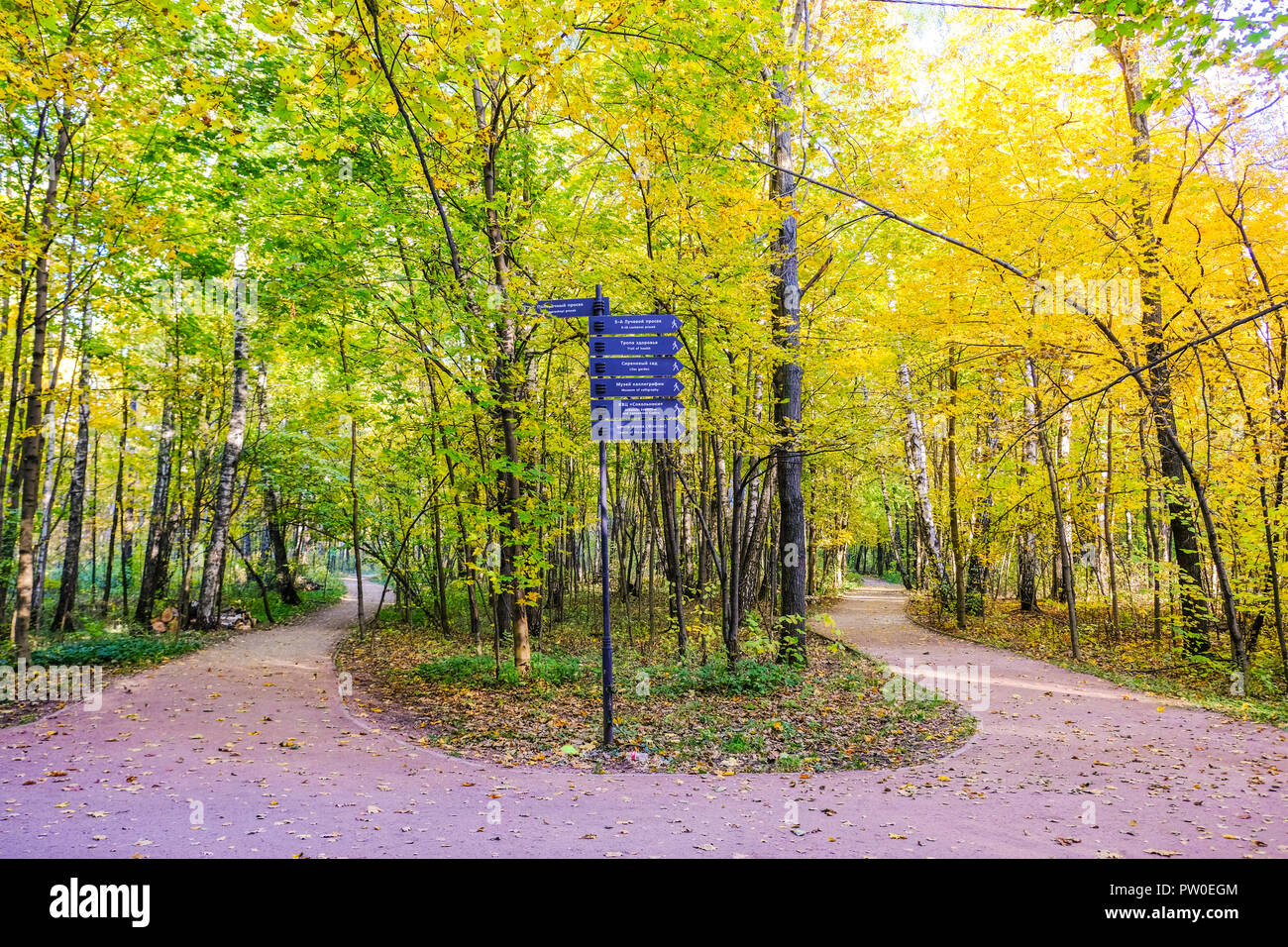 Sokolniki park in fall hi-res stock photography and images - Alamy
