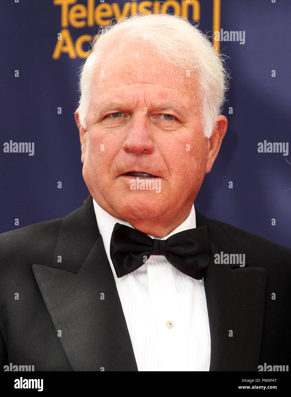 2018 Creative Arts Emmy Awards - Day 2 Arrivals held at the Microsoft ...