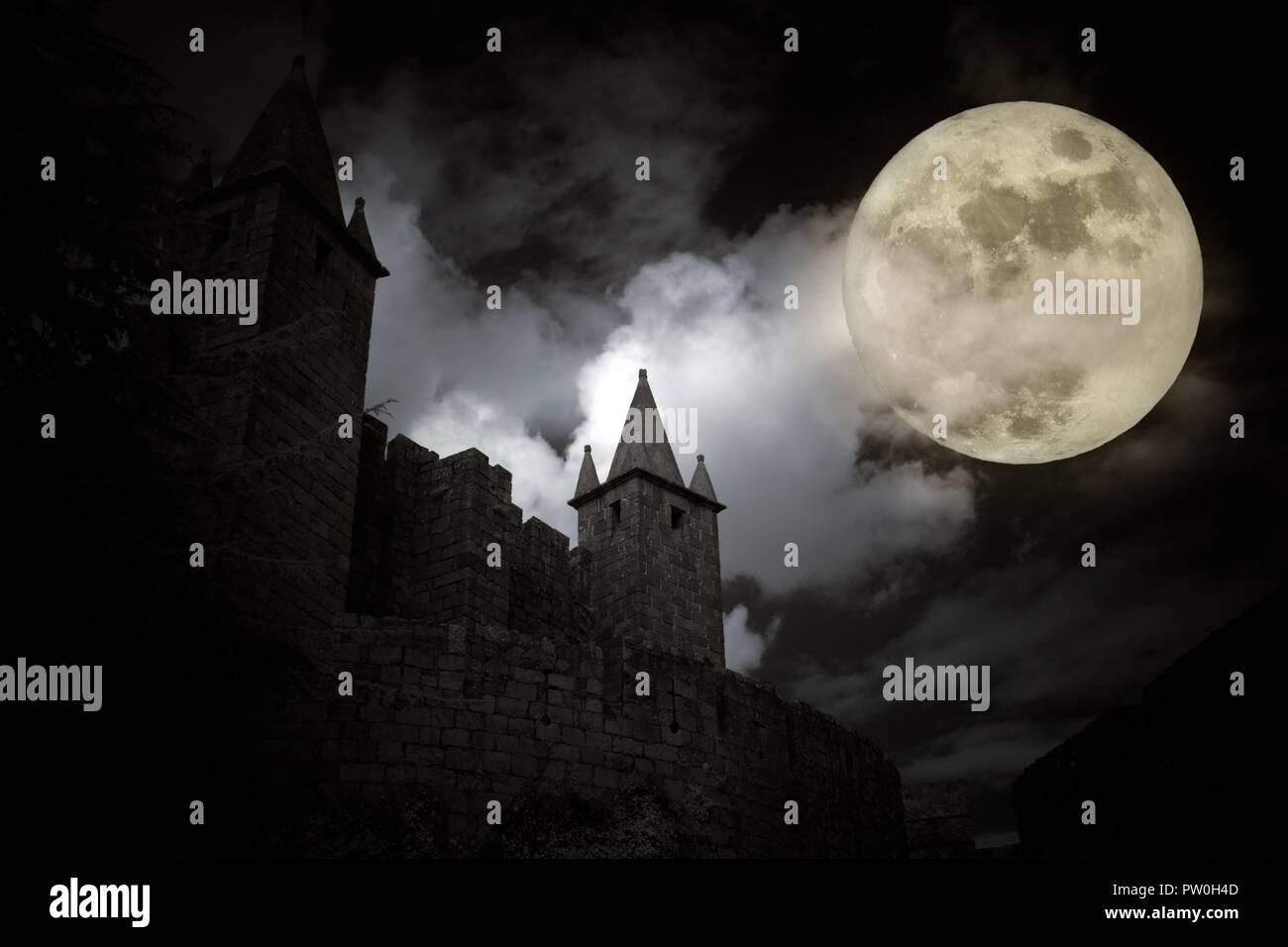 Medieval european castle in a full moon night. Added some digital noise ...