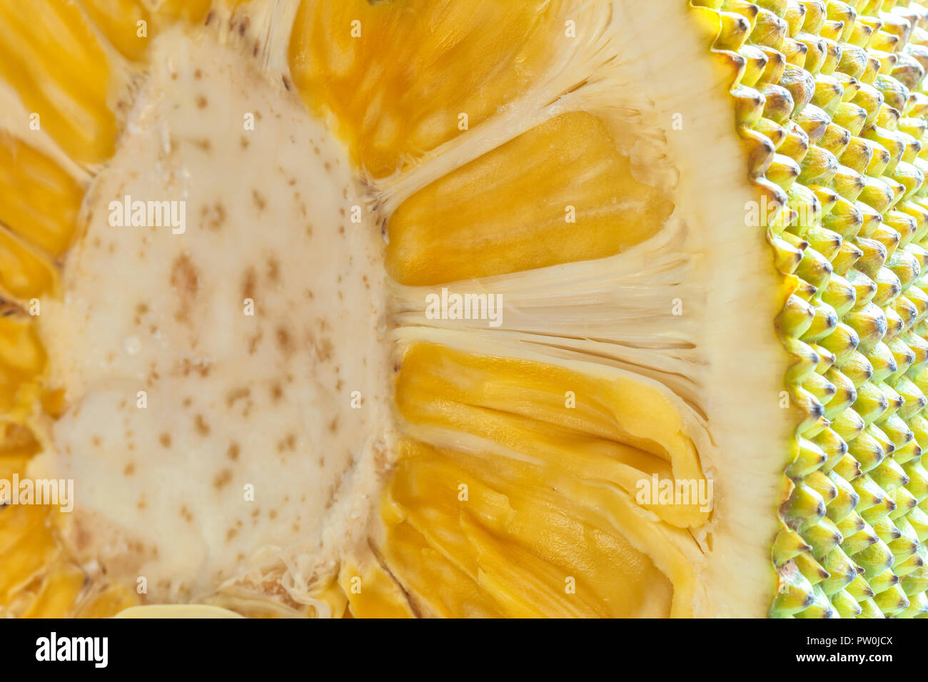 Jackfruit flesh hi-res stock photography and images - Alamy
